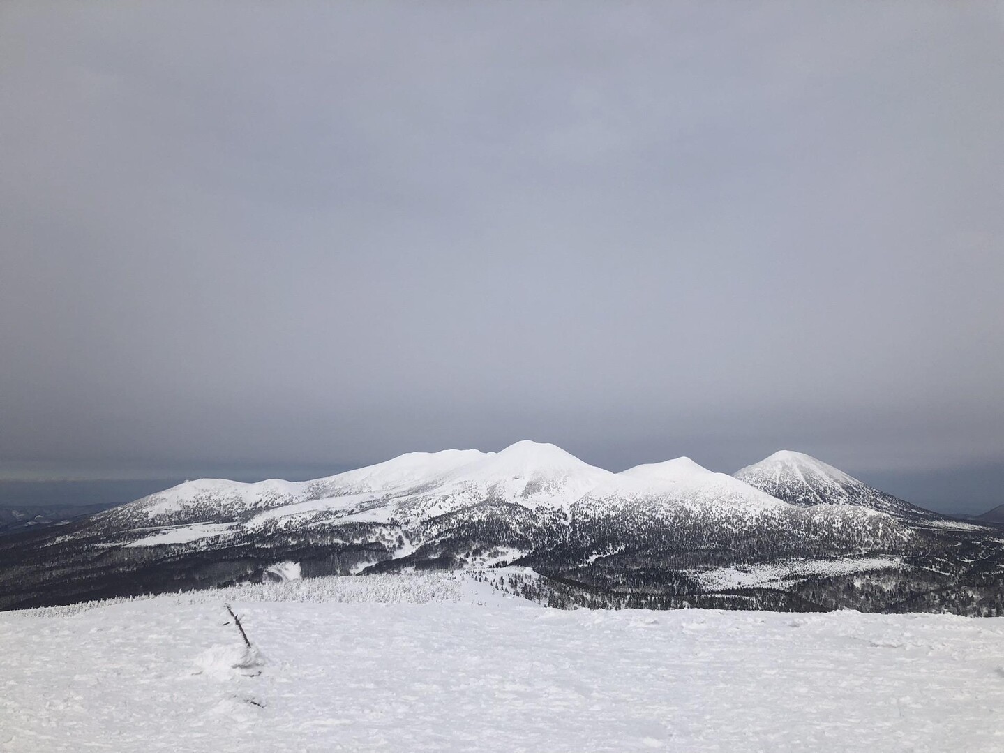横岳・逆川岳 / snow@ystさんの櫛ヶ峯（上岳）・駒ヶ峯・乗鞍岳の活動データ | YAMAP / ヤマップ