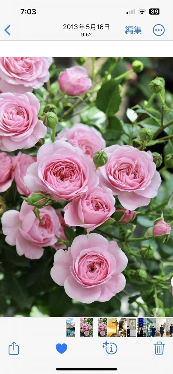 sumiのページ | YAMAP / ヤマップ