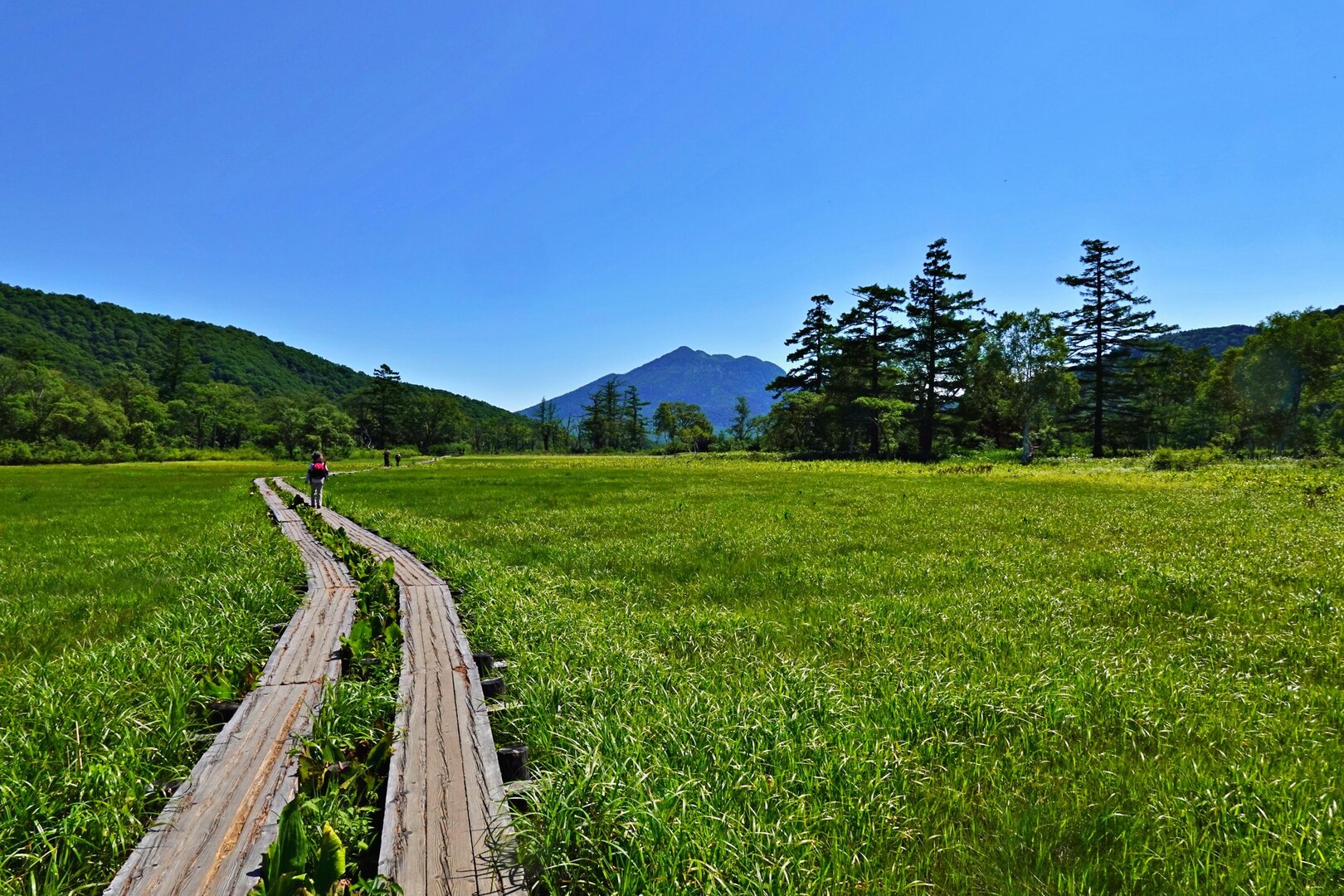 尾瀬ヶ原ウォーキング＋大清水湿原 / アキチャン1491さんの尾瀬・至仏山・悪沢岳・笠ヶ岳の活動データ | YAMAP / ヤマップ