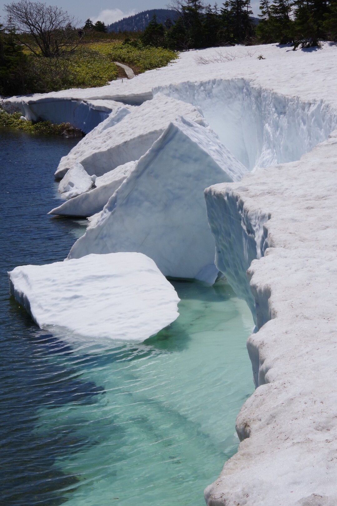 2022/5/25 鎌沼 一切経山 pa... / METAL-渓山さんのモーメント | YAMAP / ヤマップ