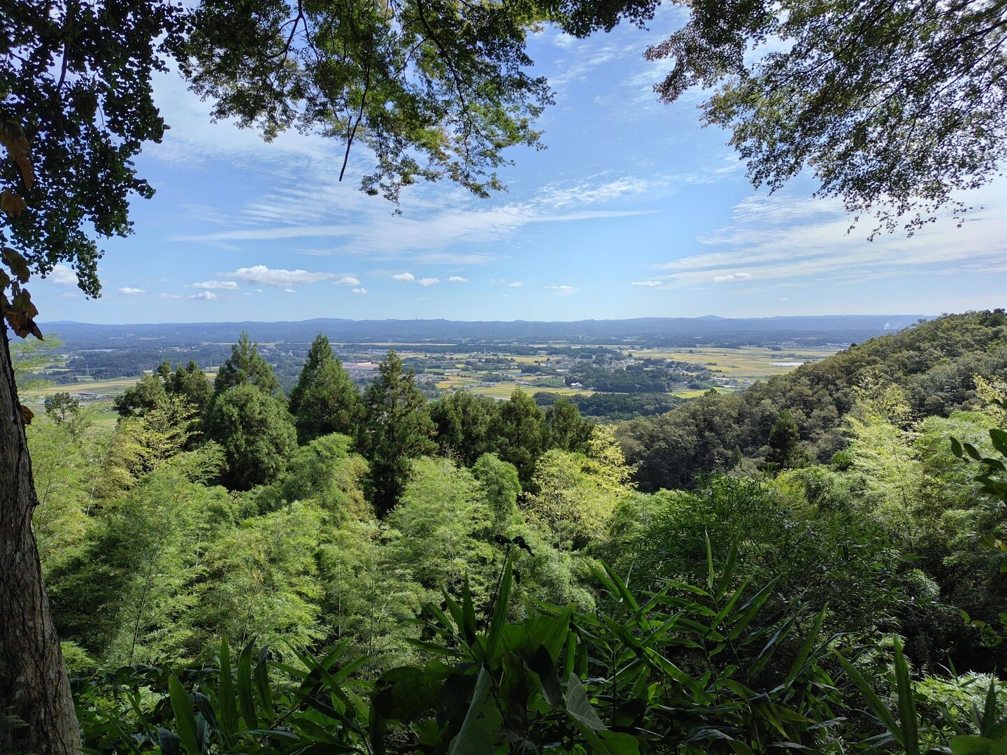 ウォーキング-泉崎村 / ykさんのウォーキングの活動データ | YAMAP / ヤマップ
