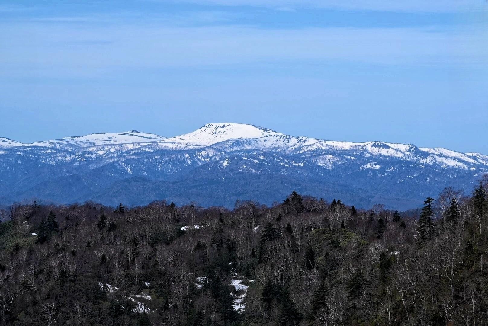 砥石山〜小林峠コース〜 / Kana-Coさんの砥石山・青山の活動データ | YAMAP / ヤマップ