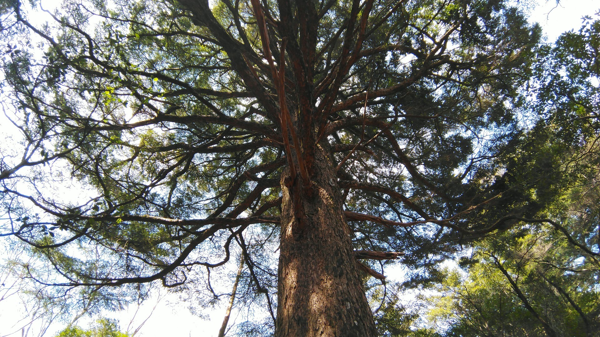 むこさんの投稿したフィールドメモ | YAMAP / ヤマップ