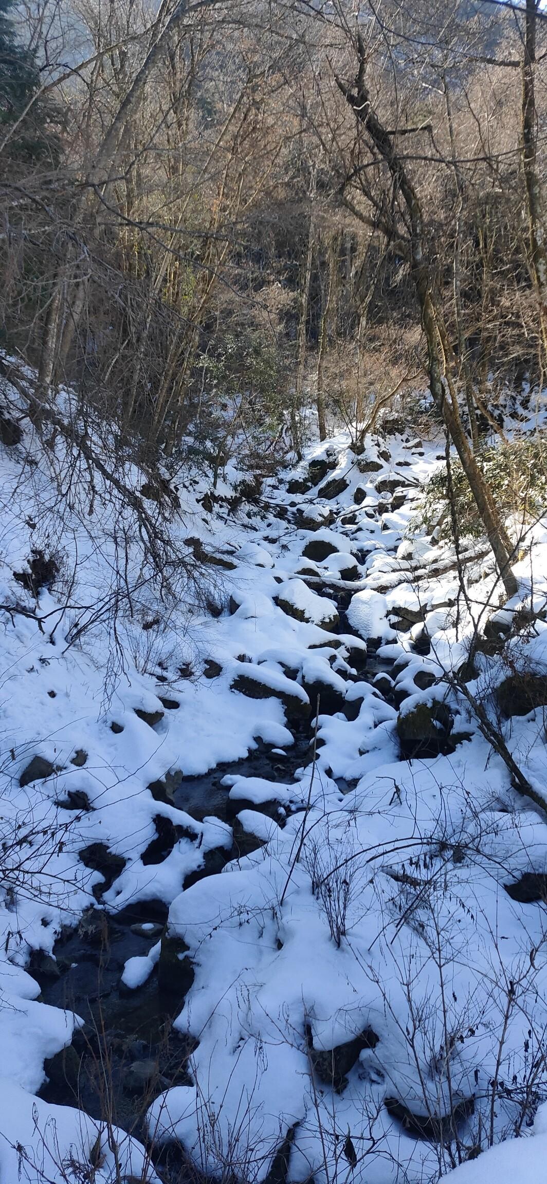 白猪山・法師山 / SEIさんの皿ヶ嶺・梅ヶ谷山・うなめごの活動データ | YAMAP / ヤマップ