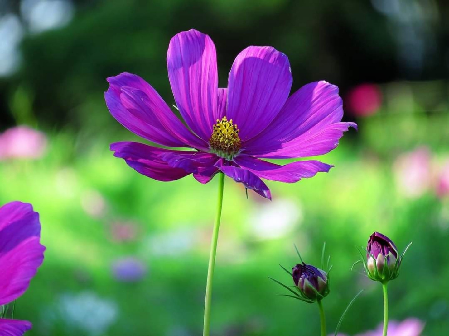 ♪君住む街♪ https://youtu... / 月見のサンタさんのモーメント | YAMAP / ヤマップ