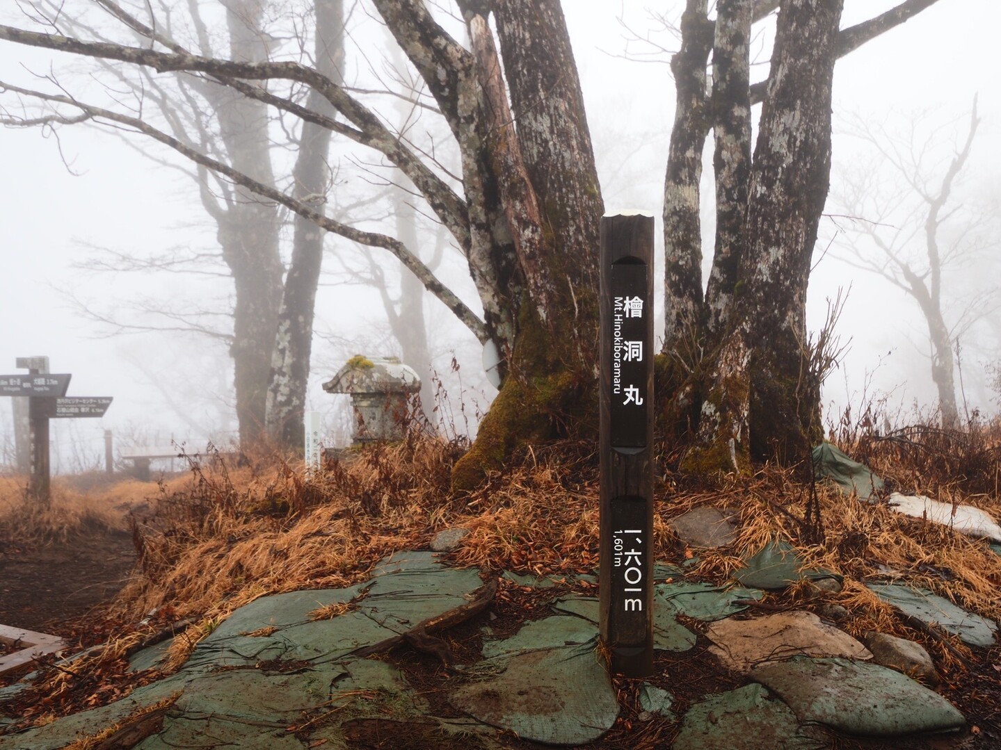 檜洞丸・西丹沢VCピストン / 山鴎さんの塔ノ岳・丹沢山・蛭ヶ岳の活動データ | YAMAP / ヤマップ