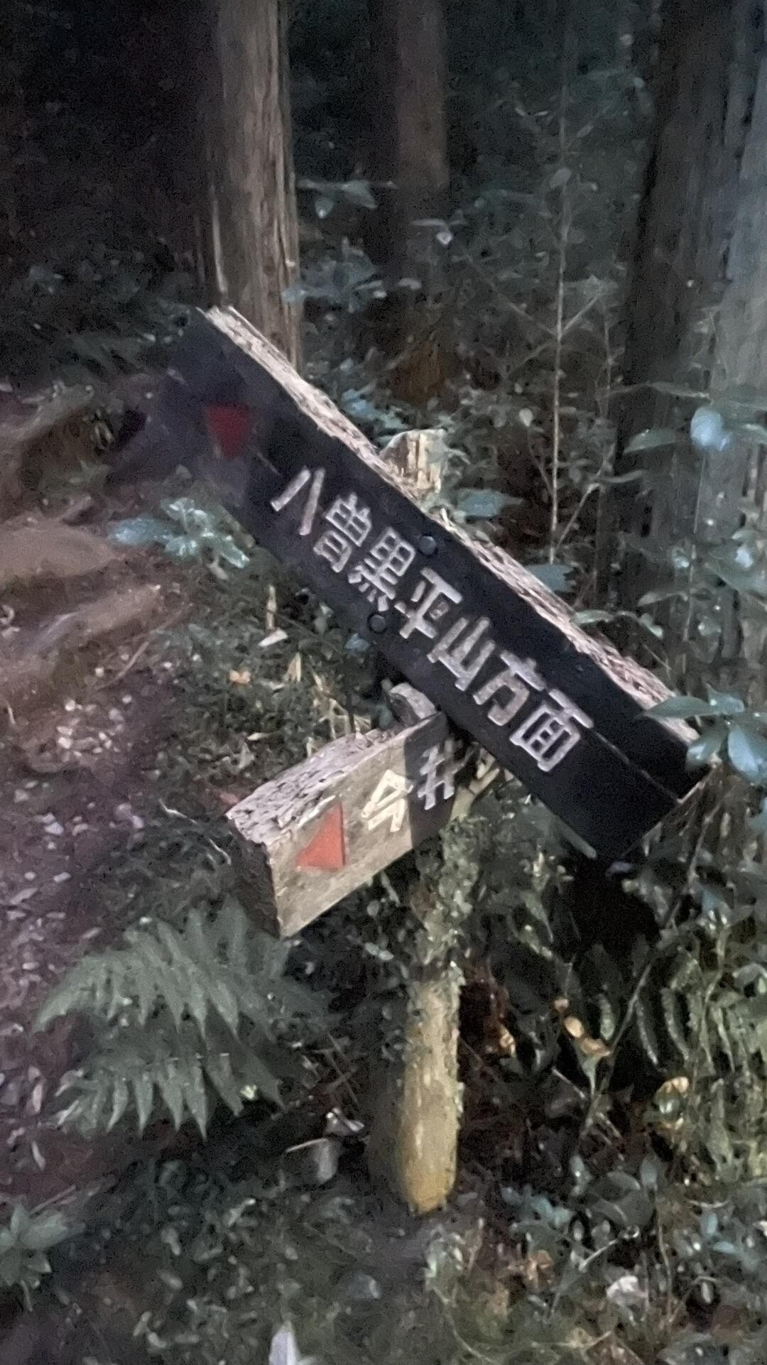 岩見山・八曾山 / Sumiさんの八曽山の活動データ | YAMAP / ヤマップ