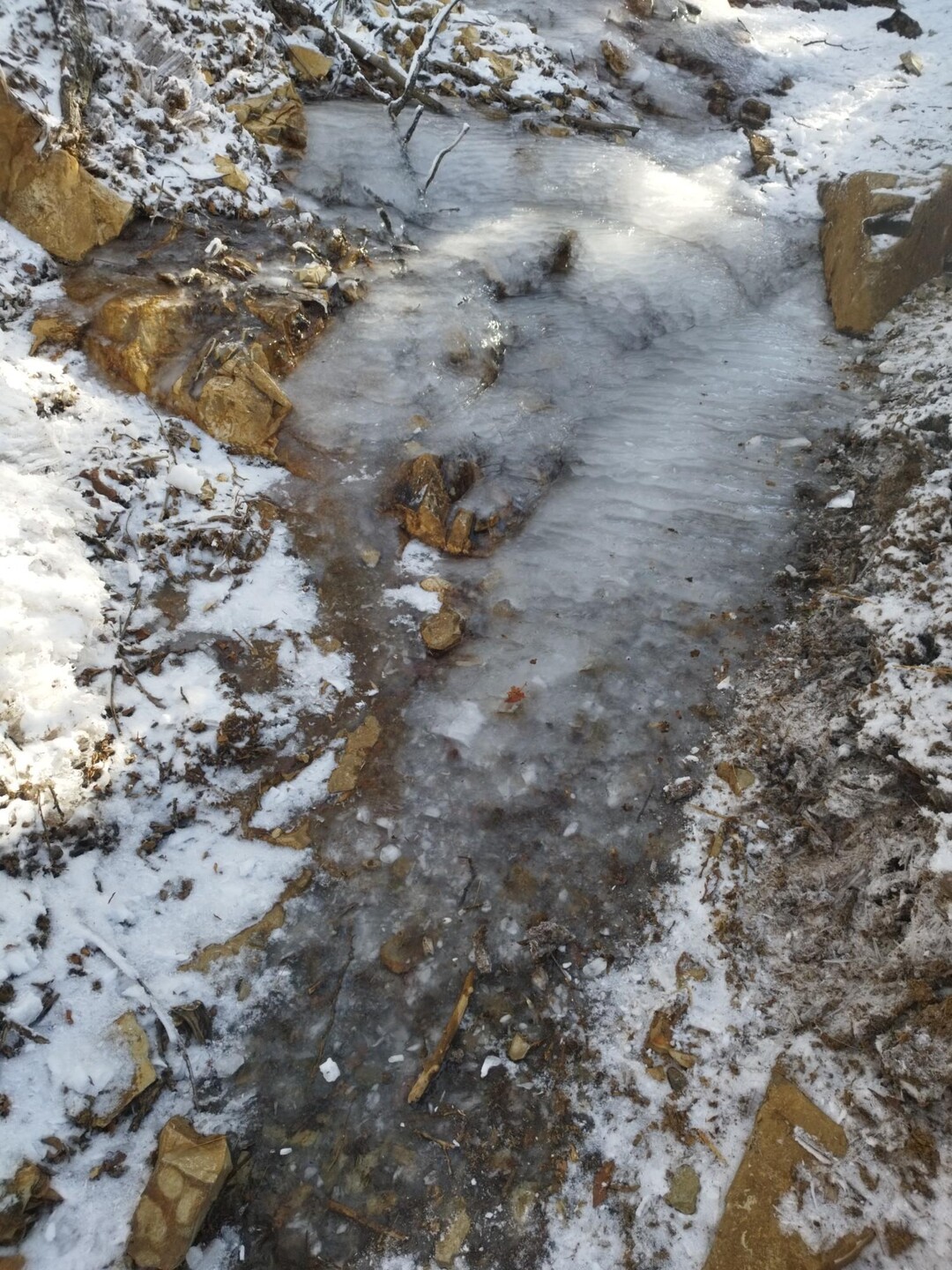 まゆりんちさんの投稿したフィールドメモ | YAMAP / ヤマップ