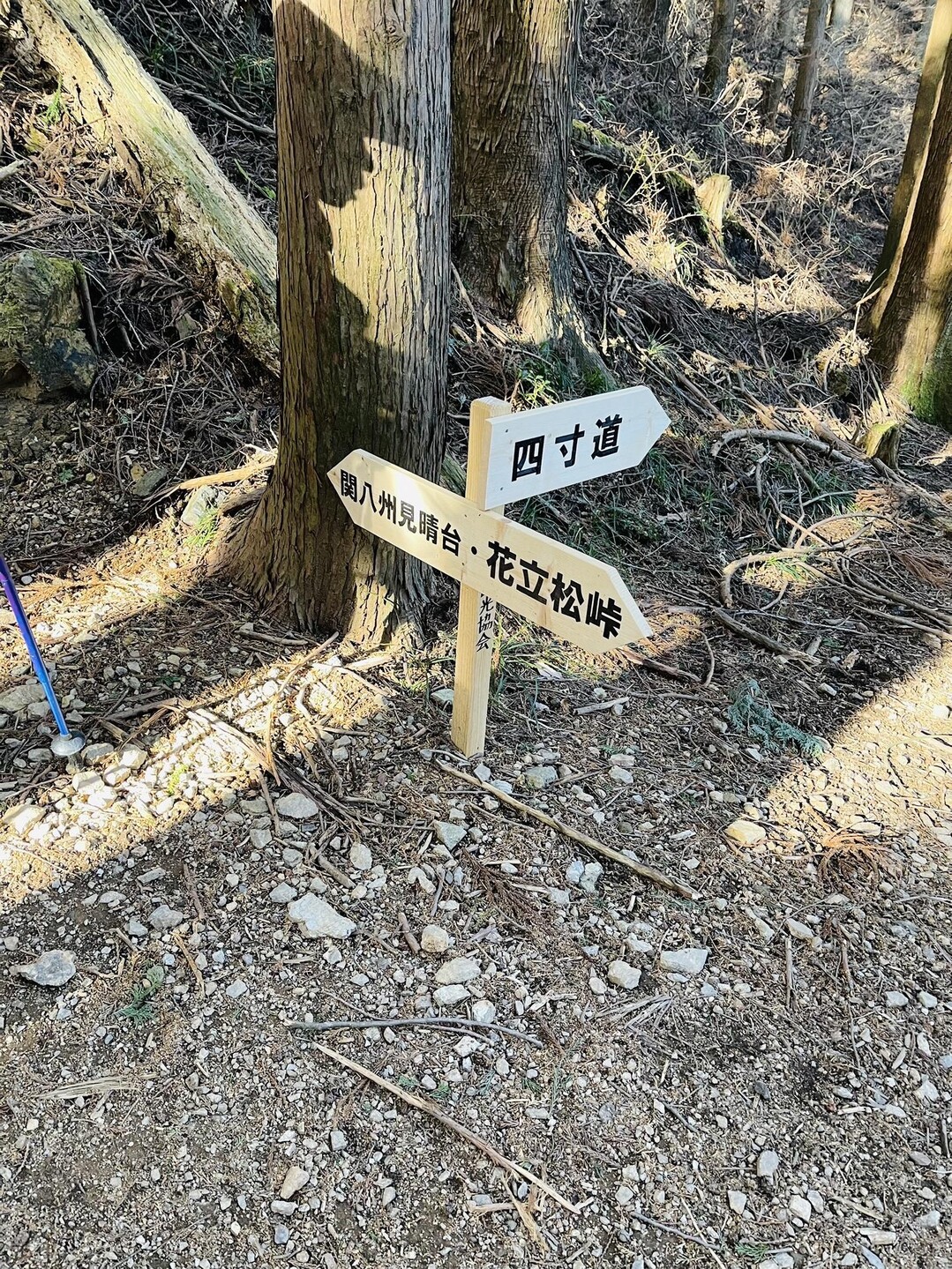 tam-tamさんの投稿したフィールドメモ | YAMAP / ヤマップ