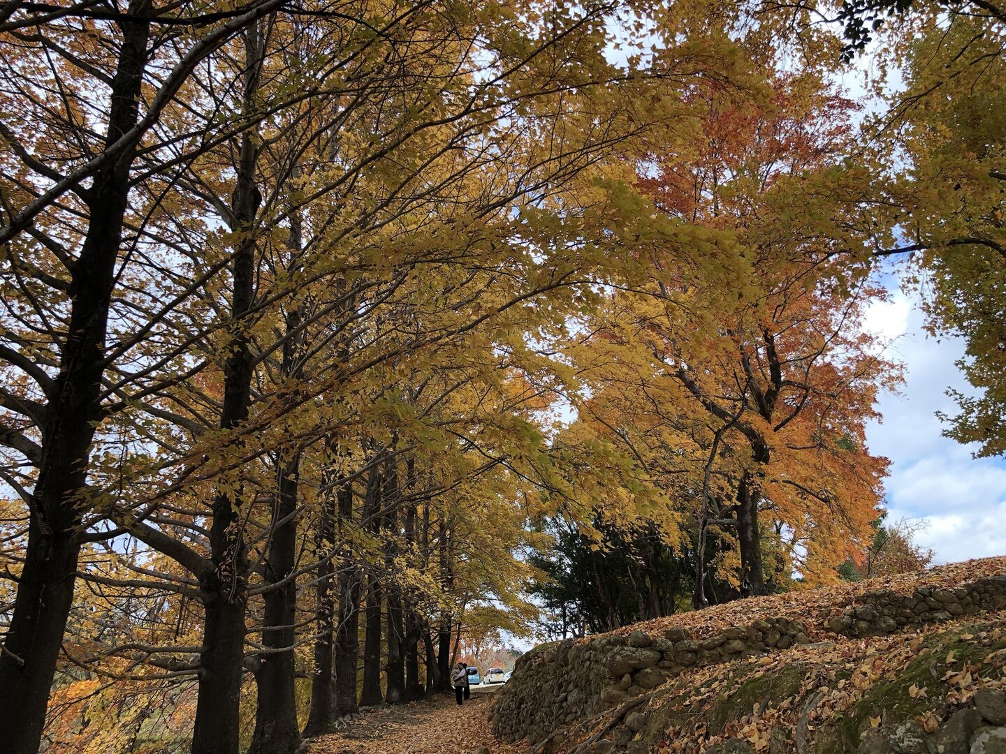 城山（朝倉城址） / CHAさんの鷲尾山・皿ヶ峰・宇津野山の活動データ | YAMAP / ヤマップ