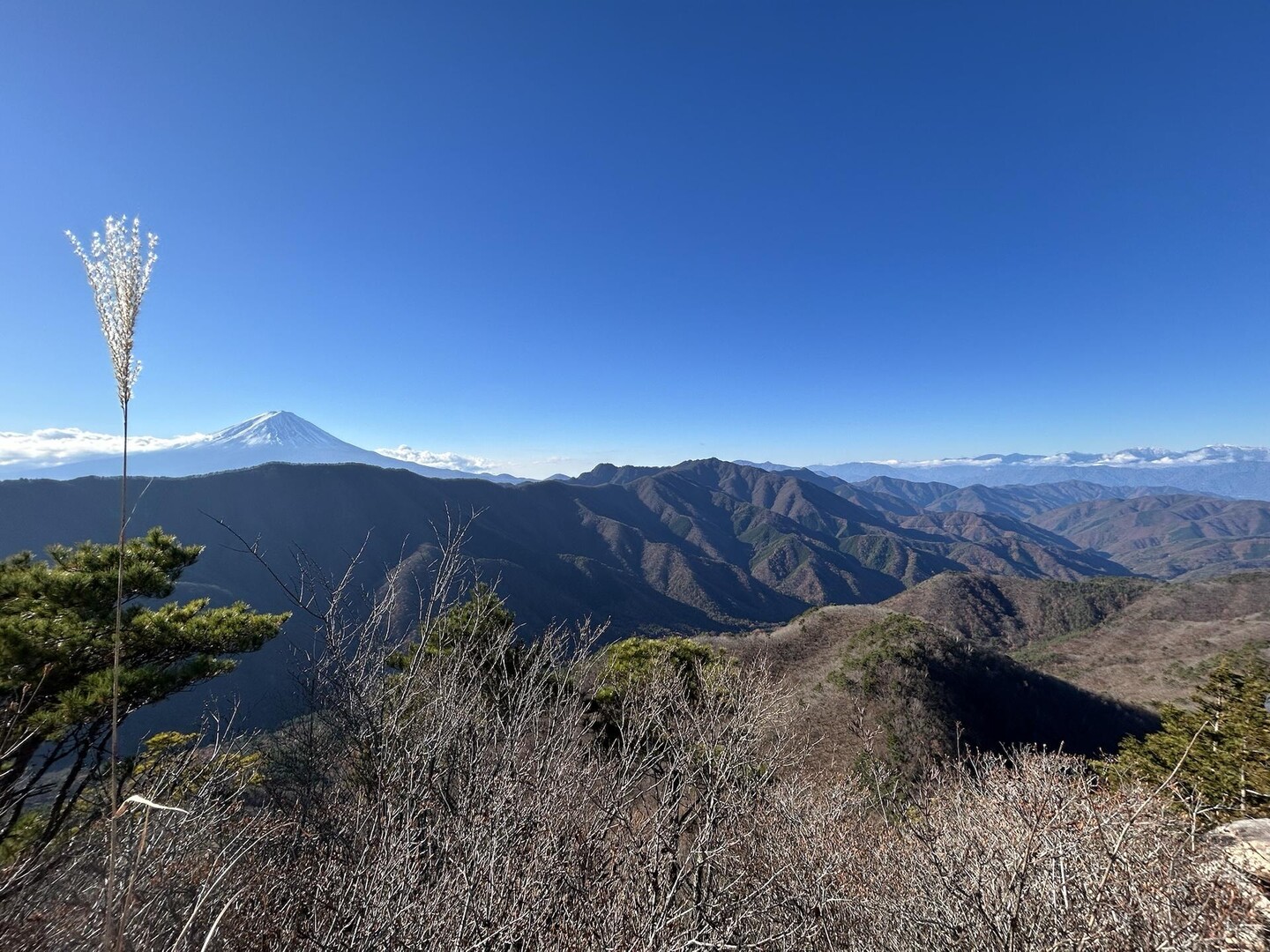 黒岳（御坂黒岳）府駒山・釈迦ヶ岳 / uda19さんのFUJISAN LONG TRAIL（御坂・三ツ峠エリア NORTH）の活動データ | YAMAP / ヤマップ