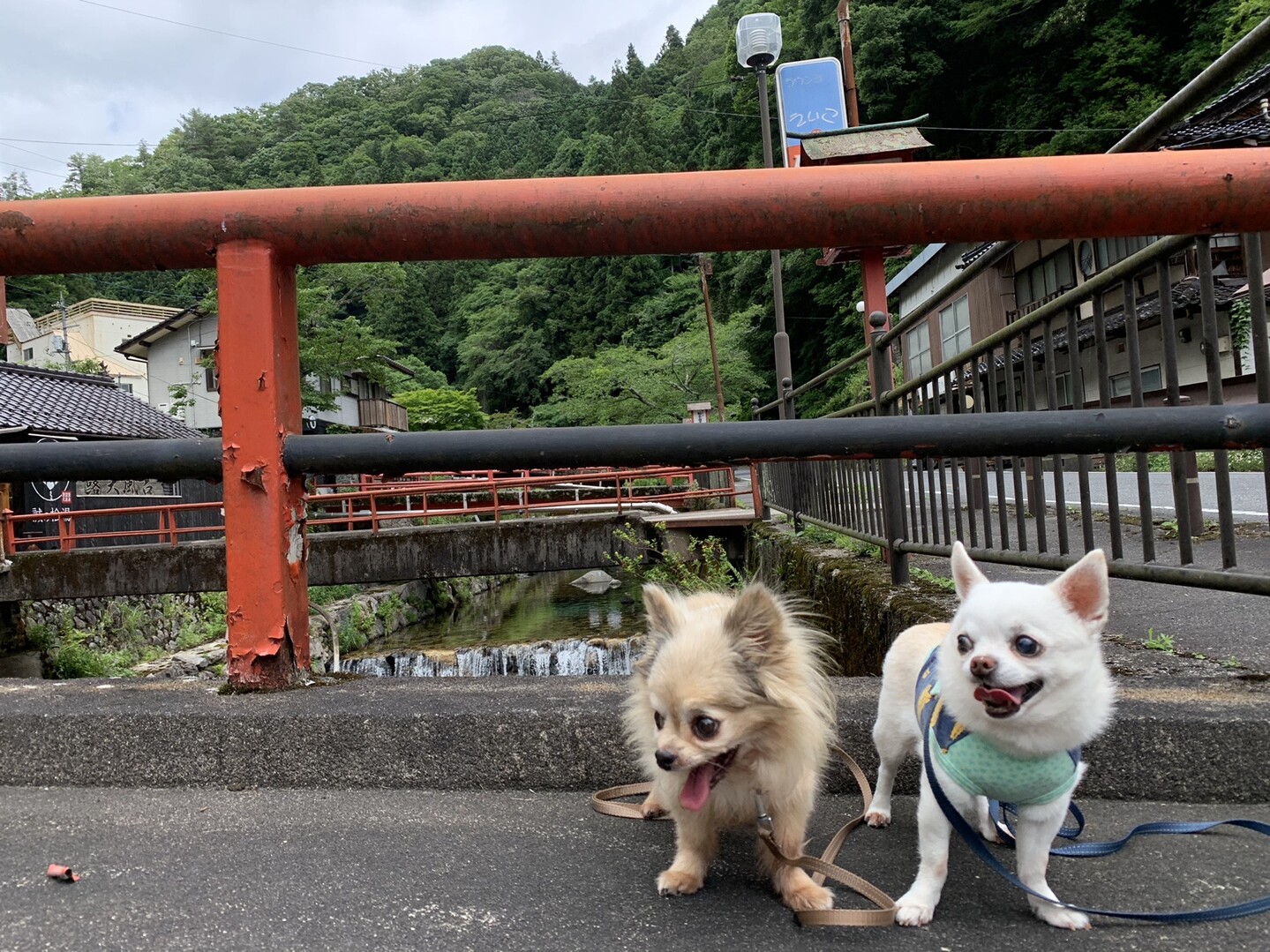 どんより曇り空ですが暑くなるという情報か... / kbさんのモーメント | YAMAP / ヤマップ