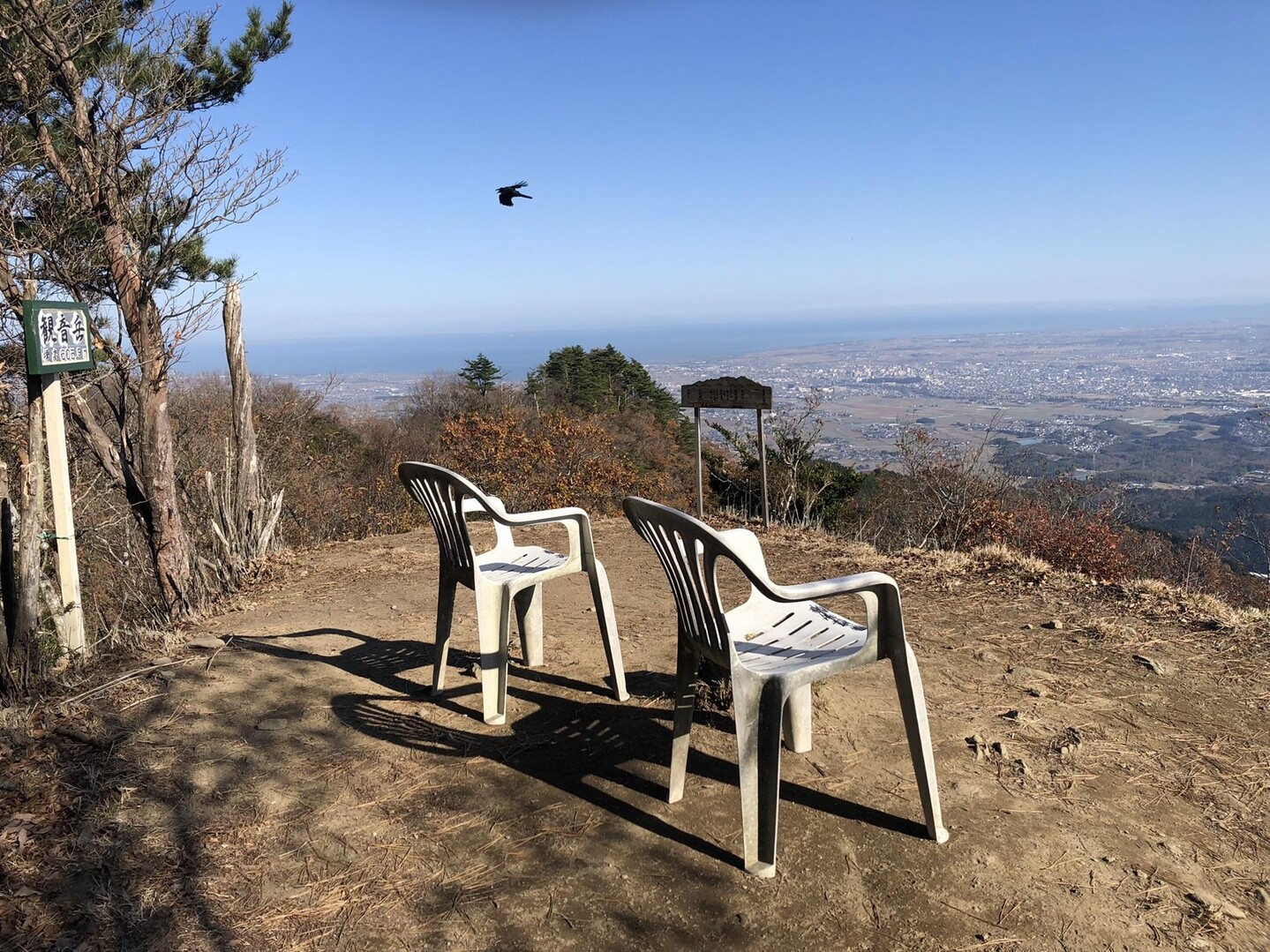 城ヶ峰・堀坂峠の高・観音岳 / pixyさんの堀坂山・観音岳・桝形山（白米城）の活動データ | YAMAP / ヤマップ