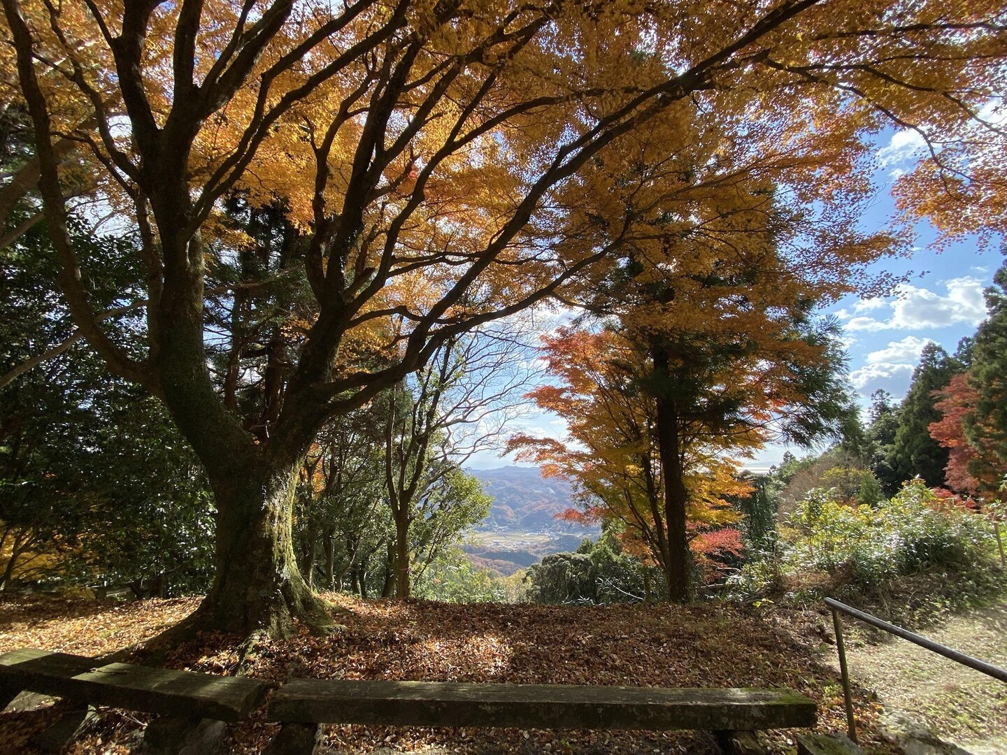 関西百名山67座目 / 帝釈山 / Oh.mountainさんの丹生山・帝釈山・シビレ山の活動日記 | YAMAP / ヤマップ