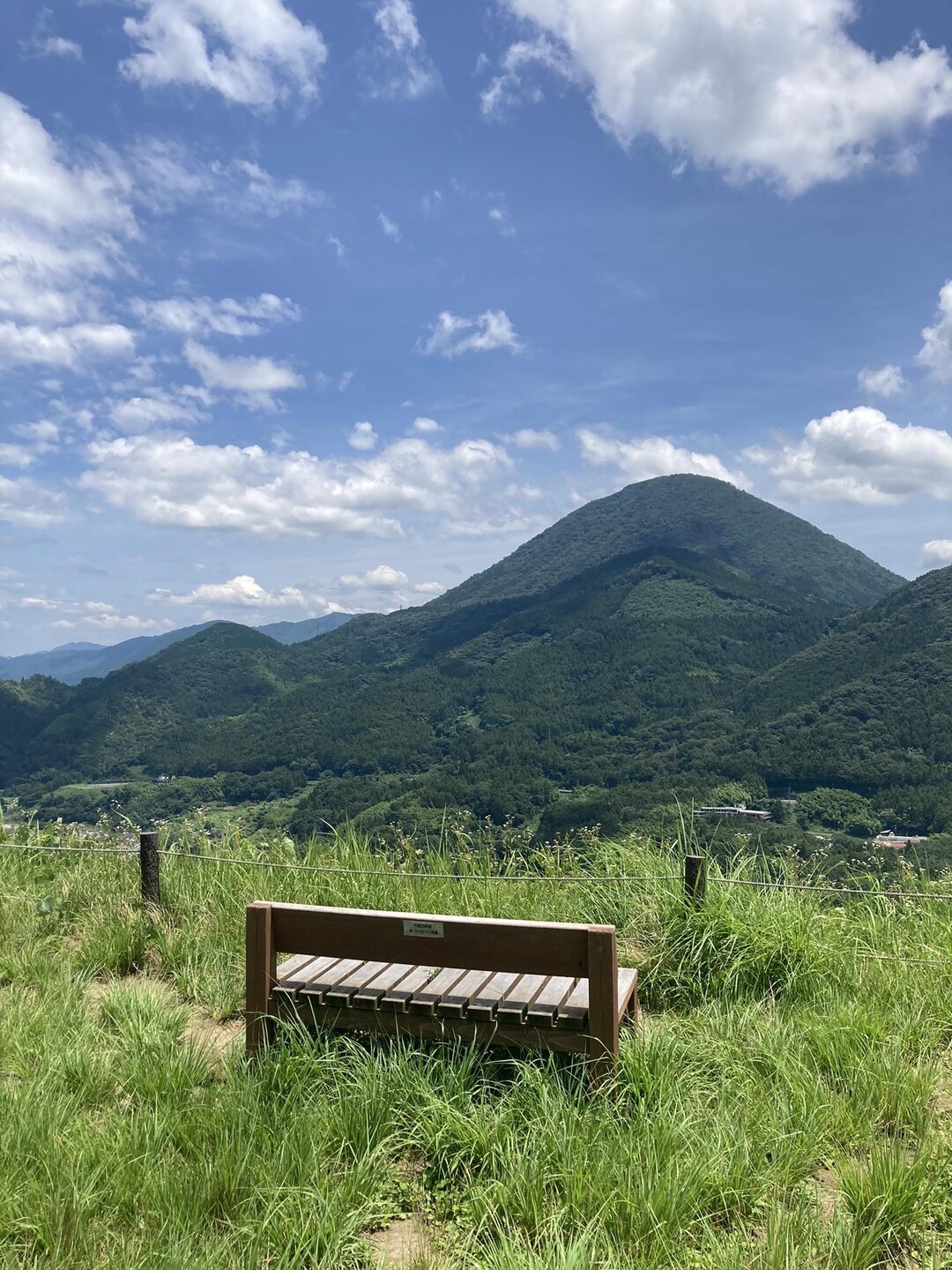 霊亀山 / cbmdさんの青野山・奥山の活動データ | YAMAP / ヤマップ
