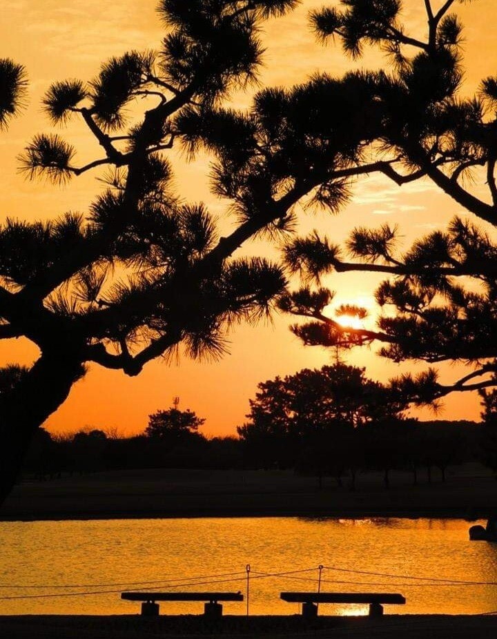 夕暮れ https://youtu.be... / コックンさんのモーメント | YAMAP / ヤマップ