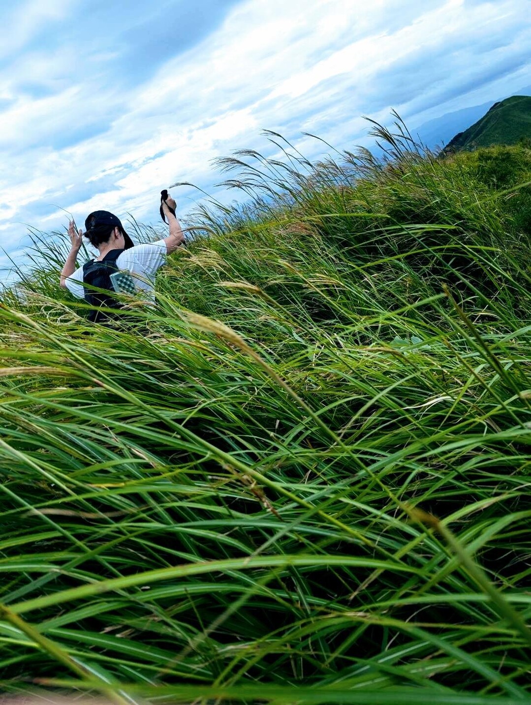 四方台・貫山・岩山 / chihoさんの平尾台・貫山・水晶山の活動データ | YAMAP / ヤマップ