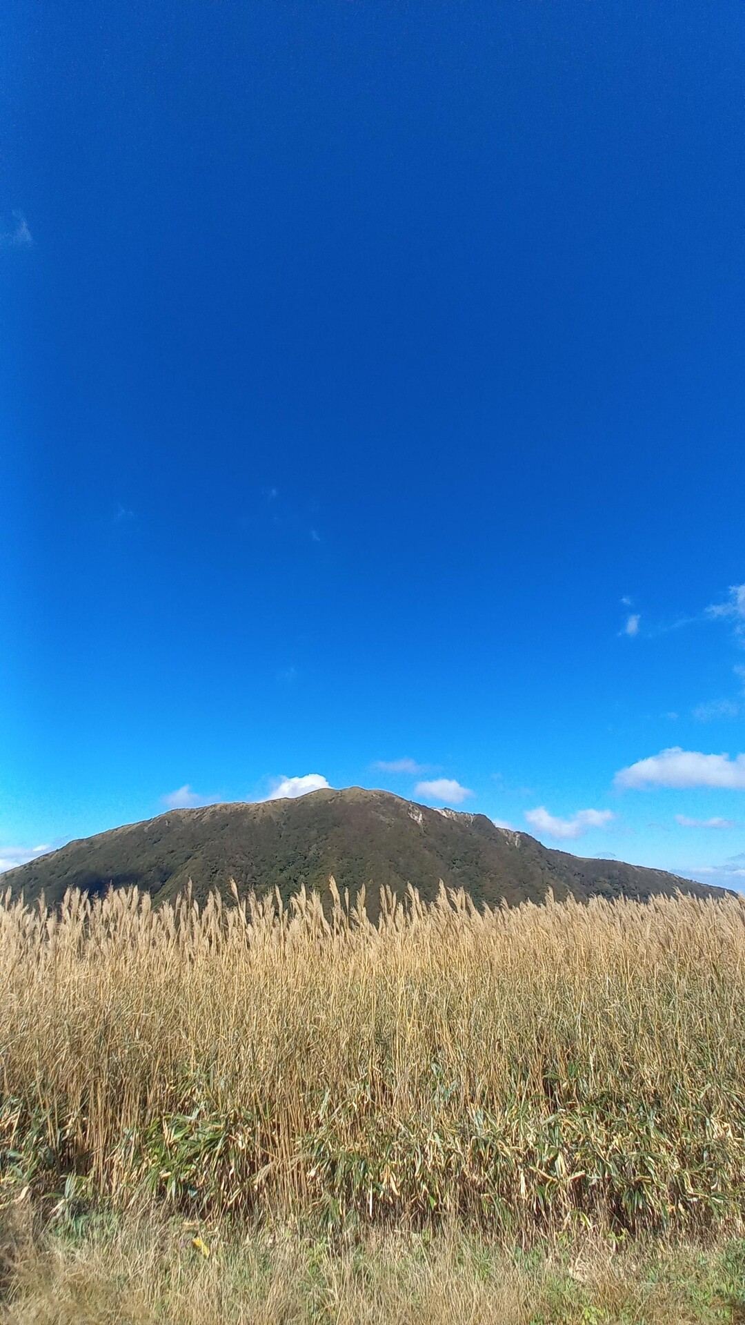 三瓶山御鉢巡り🏔️7座縦走～ / Yoyoさんの三瓶山・大平山の活動データ | YAMAP / ヤマップ