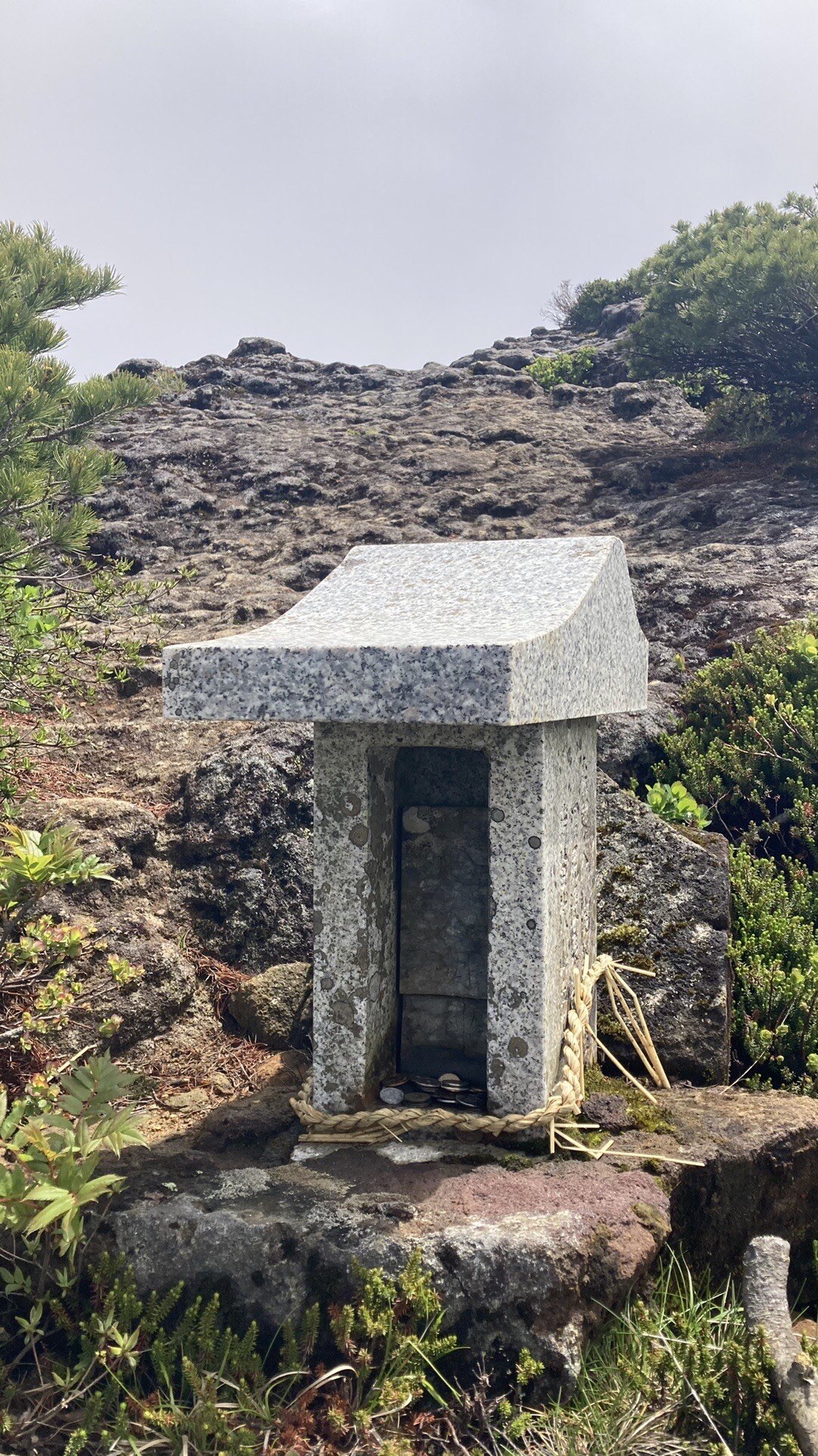 tsyamaさんの投稿したフィールドメモ | YAMAP / ヤマップ