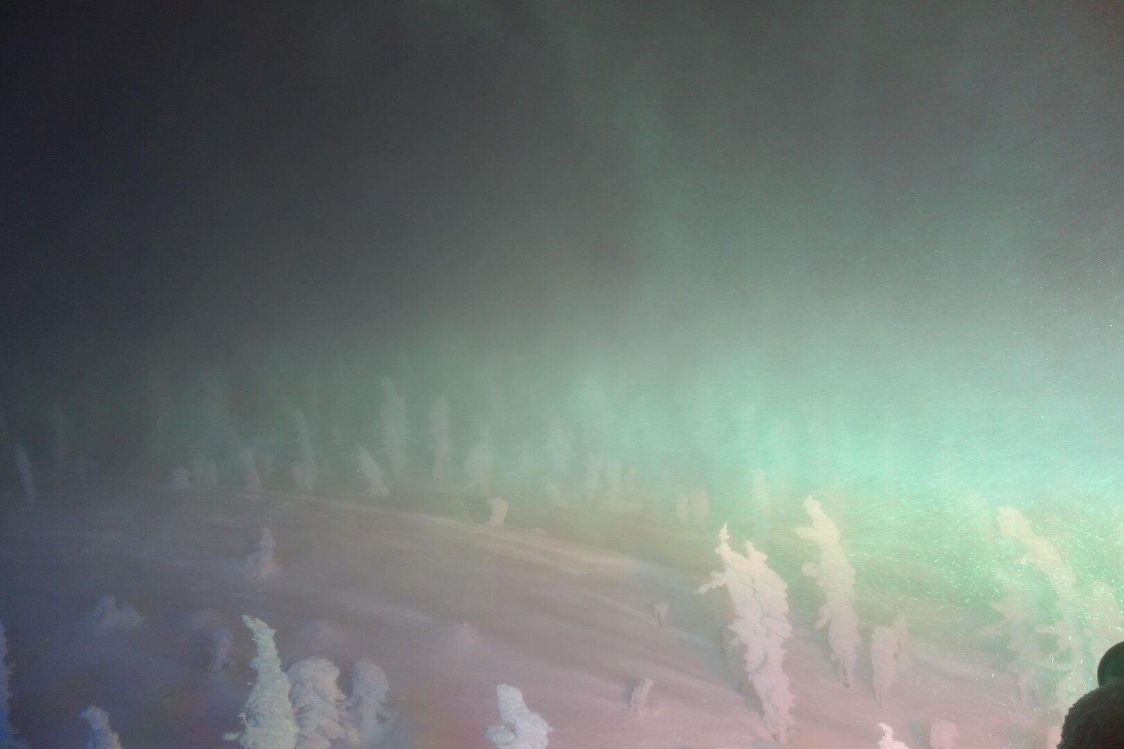 蔵王⛄️樹氷🌲ライトアップ / mierinさんの蔵王山・雁戸山・不忘山の活動データ | YAMAP / ヤマップ