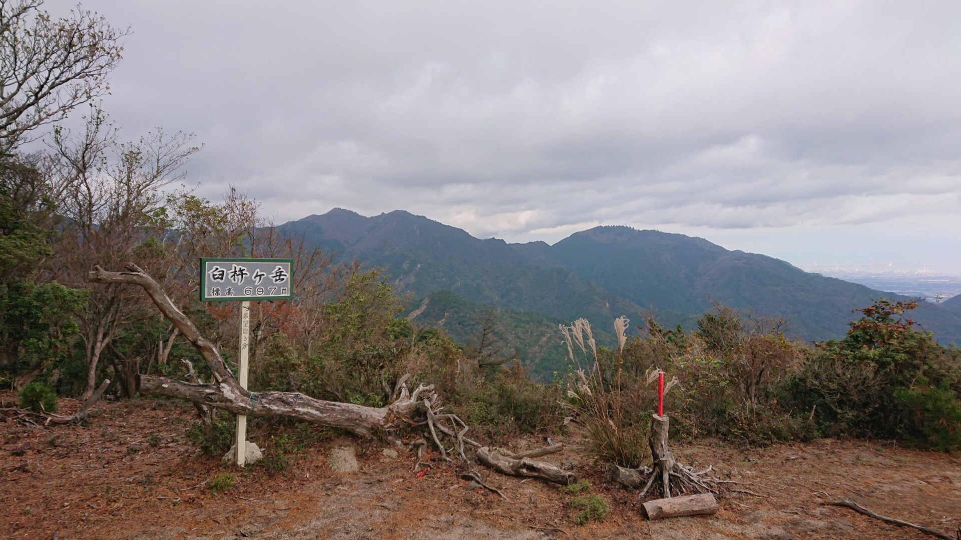 臼杵ヶ岳 / b-Dragonさんの高畑山・那須ヶ原山・油日岳の活動データ | YAMAP / ヤマップ
