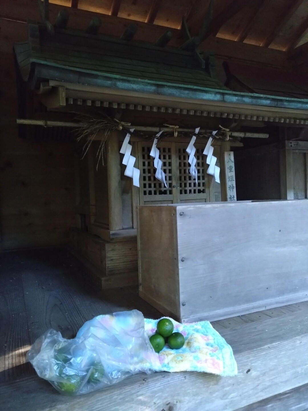 PM練・島田→粟ヶ岳→島田 / 三茶さんのランニングの活動データ | YAMAP / ヤマップ