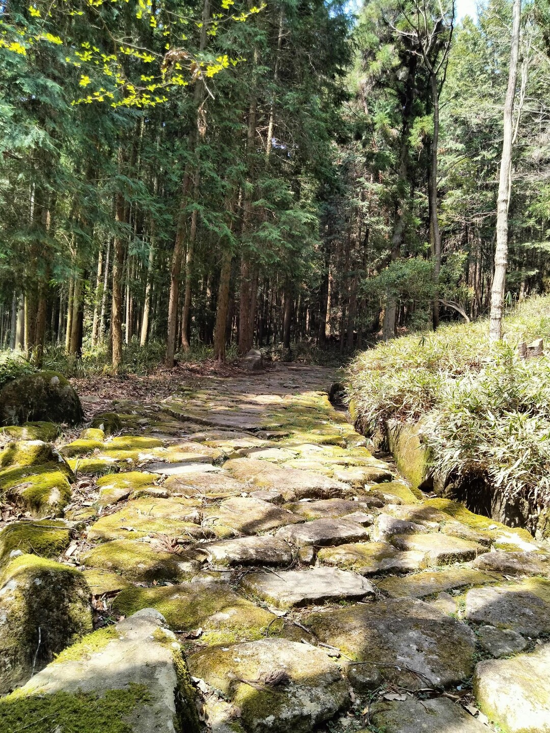 本陣山 / KUMIKOさんの本陣山の活動データ | YAMAP / ヤマップ