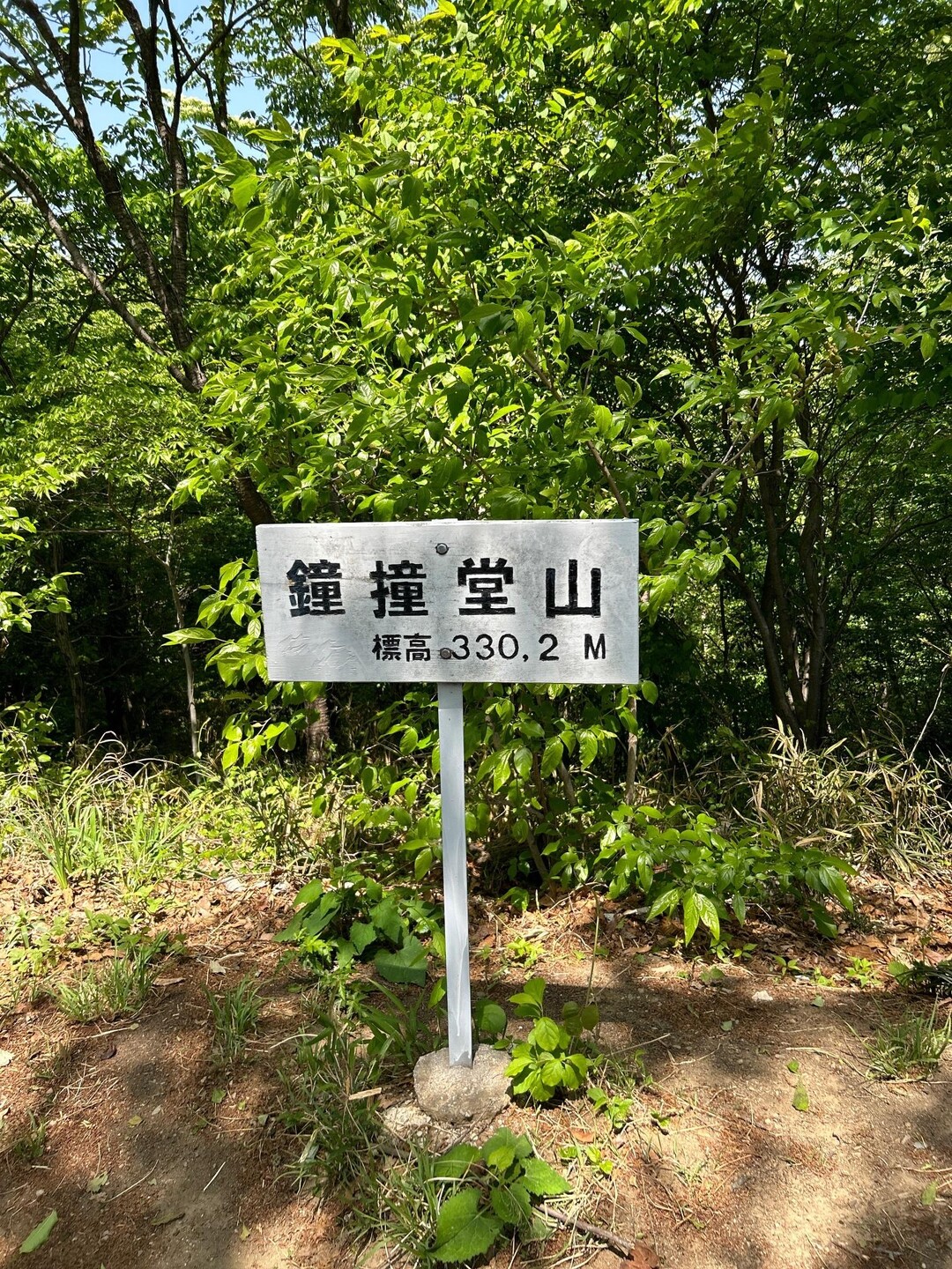 鐘撞堂山 3コースピストン②③ / tea_thank you さんの宝登山・長瀞アルプス・不動山・陣見山・鐘撞堂山の活動データ | YAMAP / ヤマップ