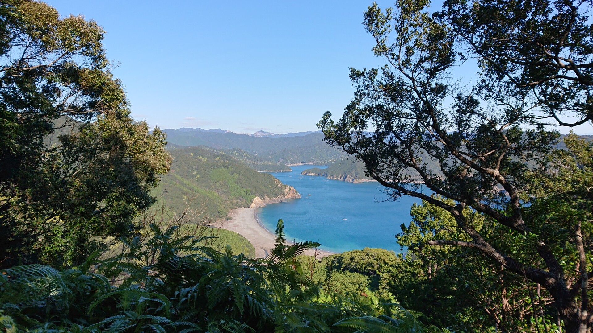 座佐の高 周回コース / yuniiiさんの姫越山の活動データ | YAMAP / ヤマップ