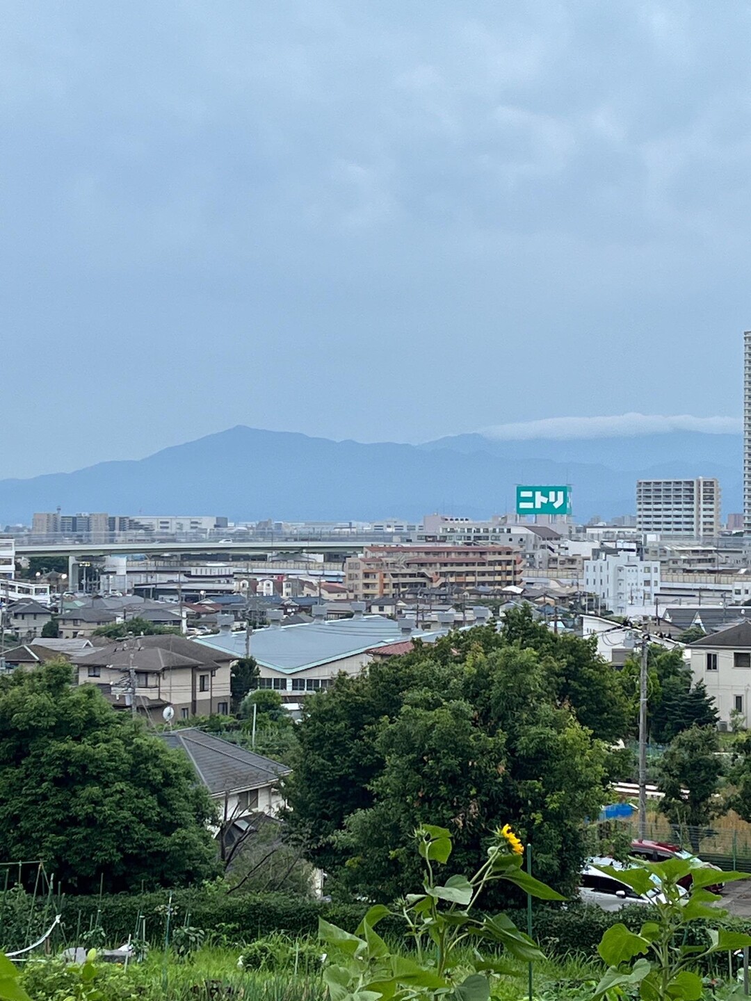 高尾山を2座ゲット♪♪ / asamiさんの大山の活動データ | YAMAP / ヤマップ