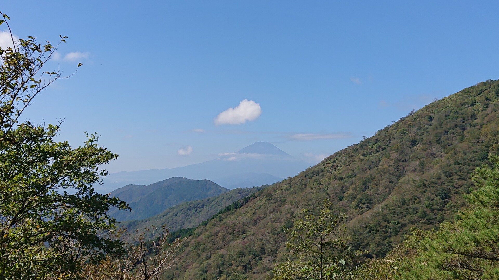 塔ノ岳・丹沢山（バカ尾根） / sakagrunさんの塔ノ岳・丹沢山・蛭ヶ岳の活動データ | YAMAP / ヤマップ