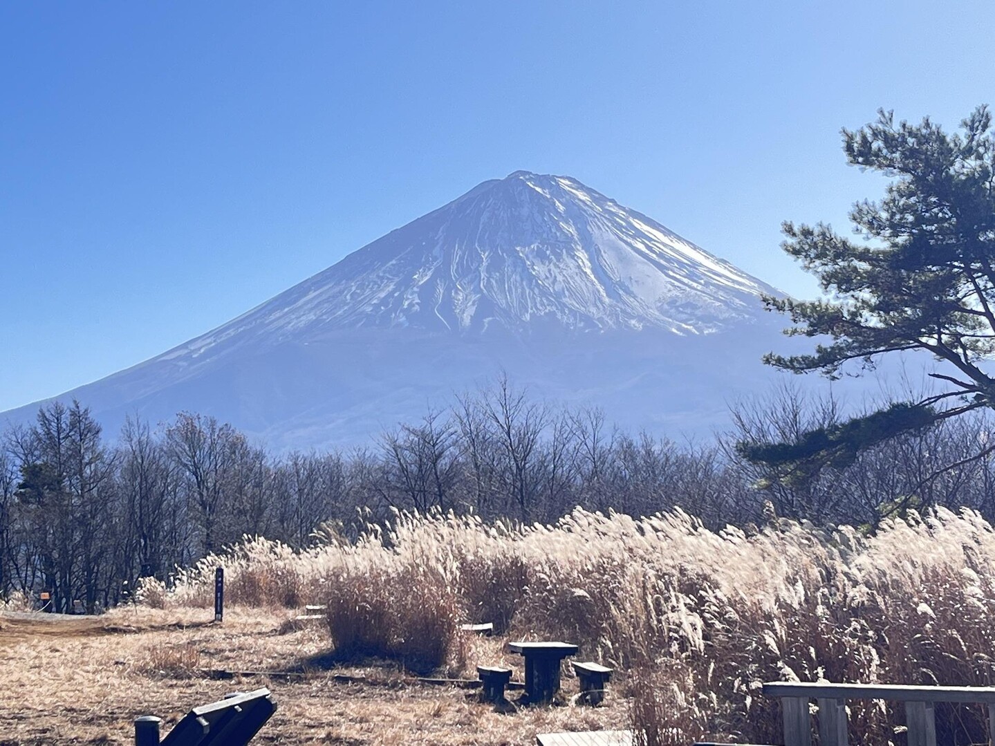 足和田山(五湖台)1355m(㉒富嶽三十六景) / たけさんの登山の活動データ | YAMAP / ヤマップ