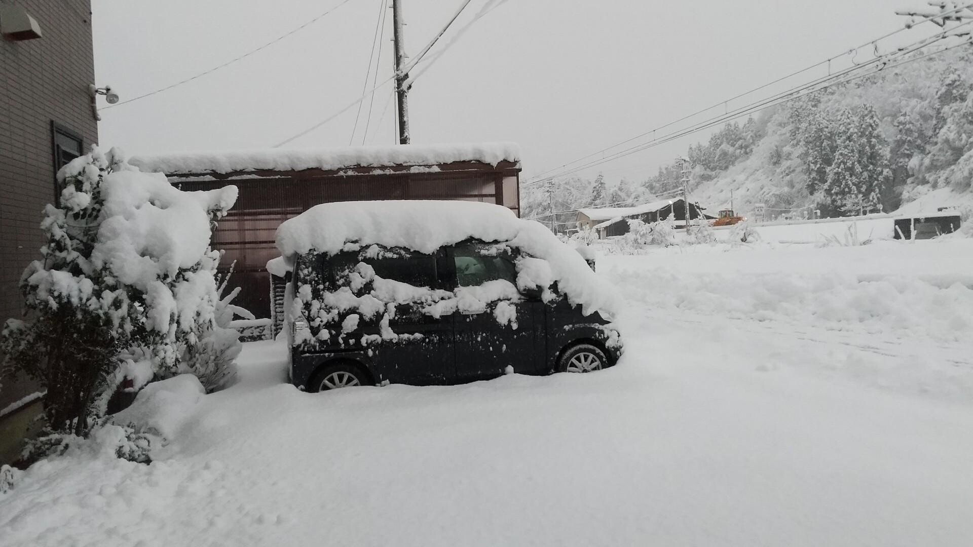 これぞ新潟か…。 これでも“大雪”ではな... / 天ぷらケンジJyJyさんのモーメント | YAMAP / ヤマップ