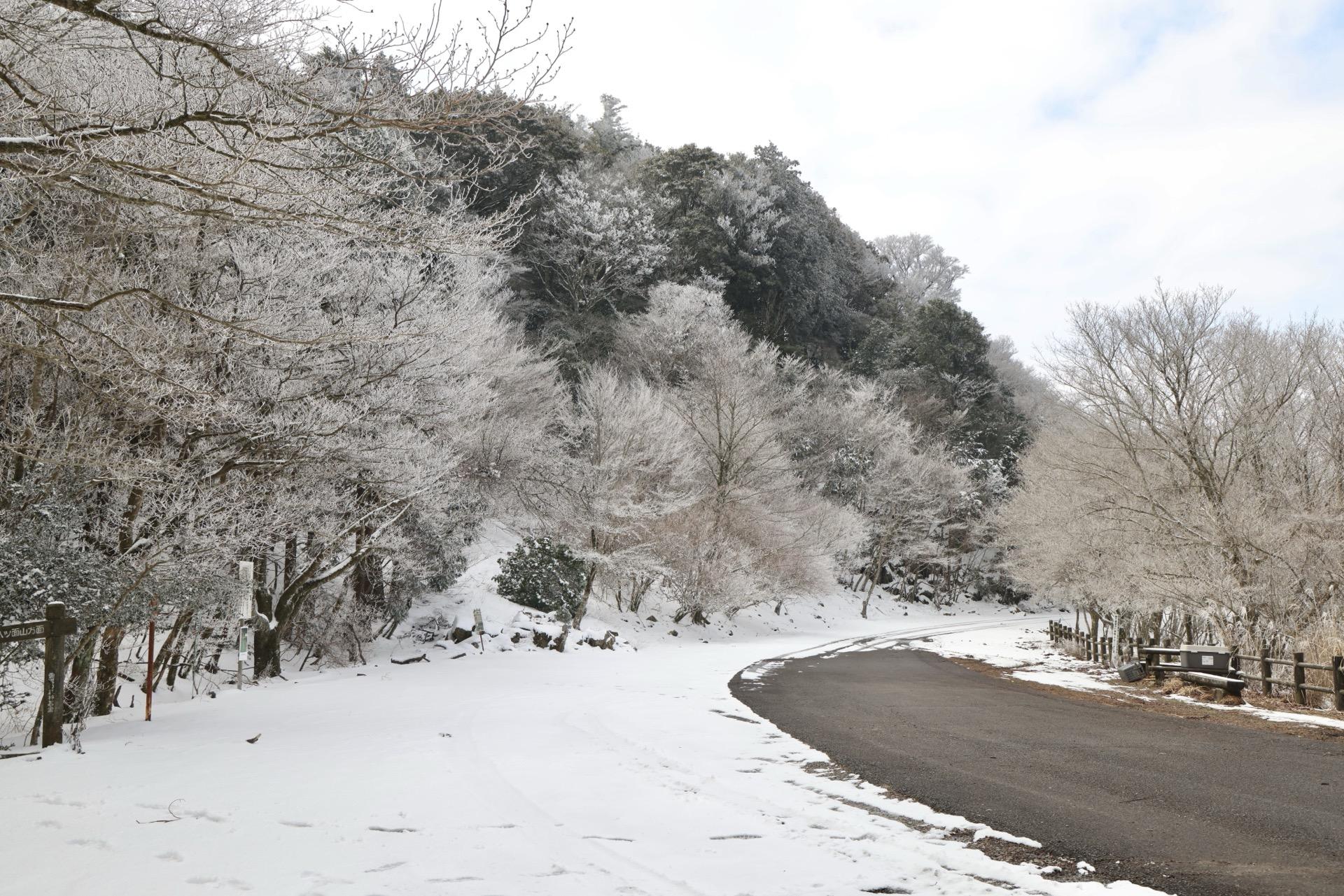 2028/3/20 鬼ヶ城山〜八面山、高... / やまゆう@しこぐらさんのモーメント | YAMAP / ヤマップ