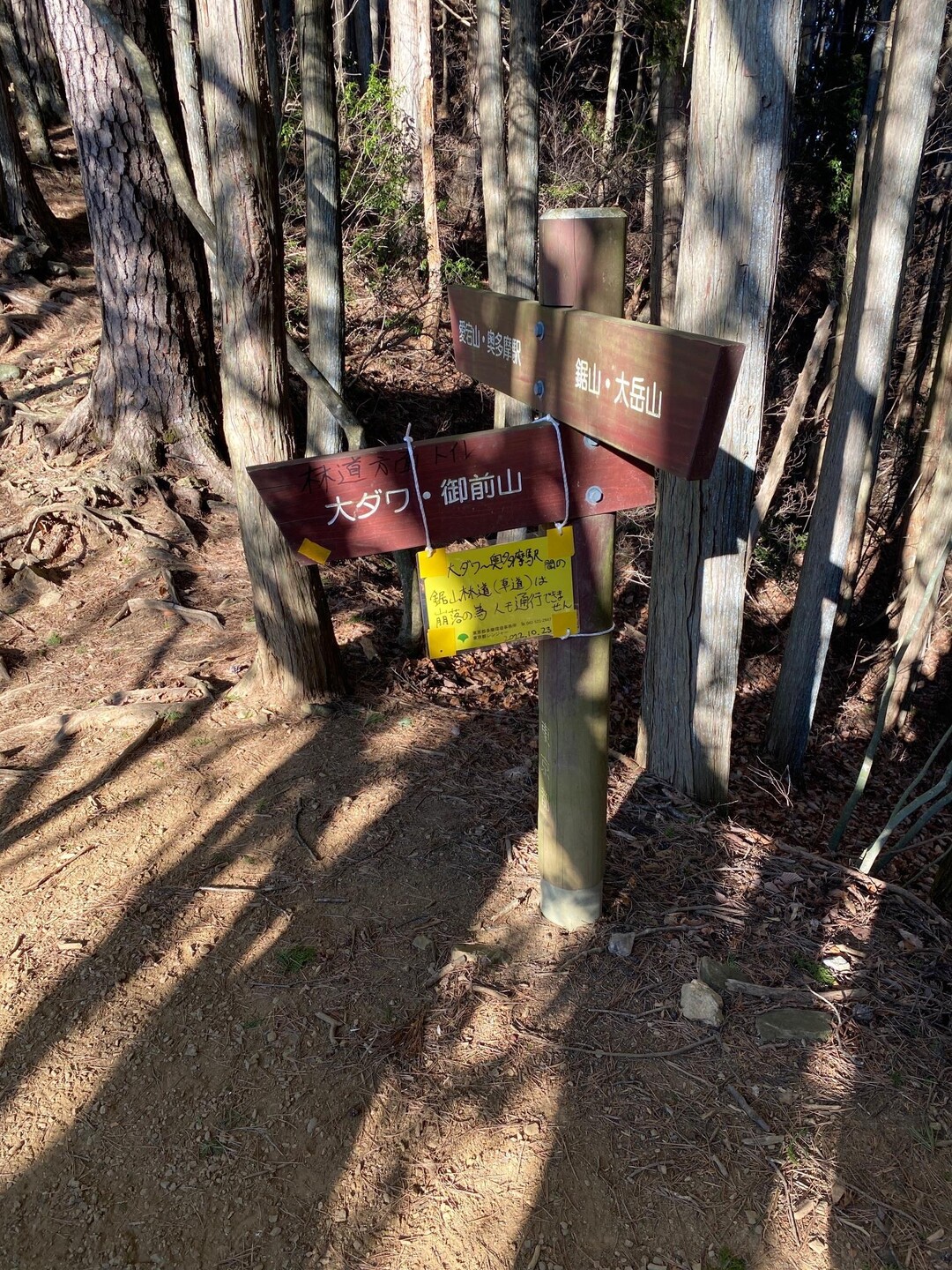 Patさんの投稿したフィールドメモ | YAMAP / ヤマップ