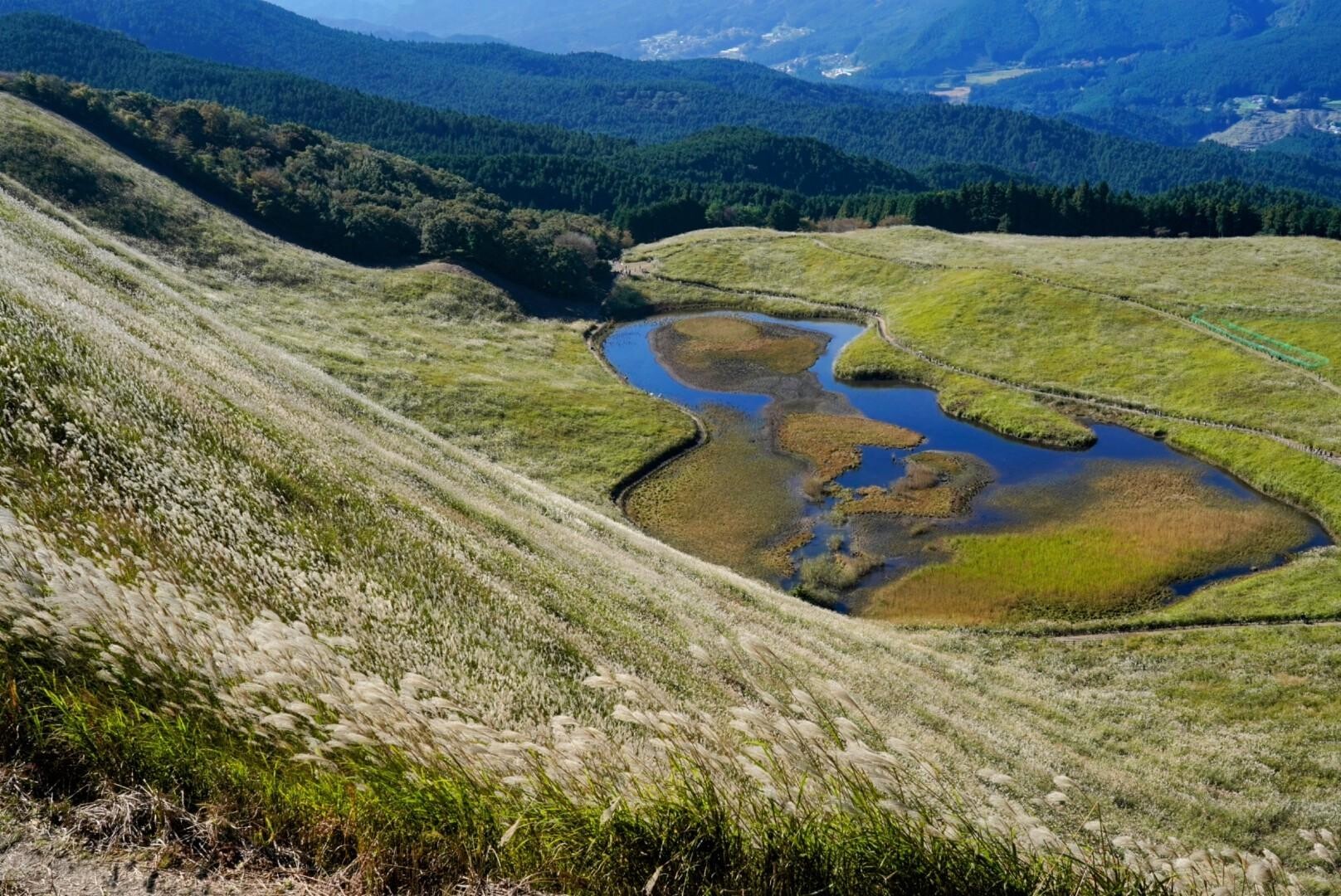 倶留尊山 二本ボソ 亀山 / yanagingさんの倶留尊山・曽爾高原・古光山の活動データ | YAMAP / ヤマップ