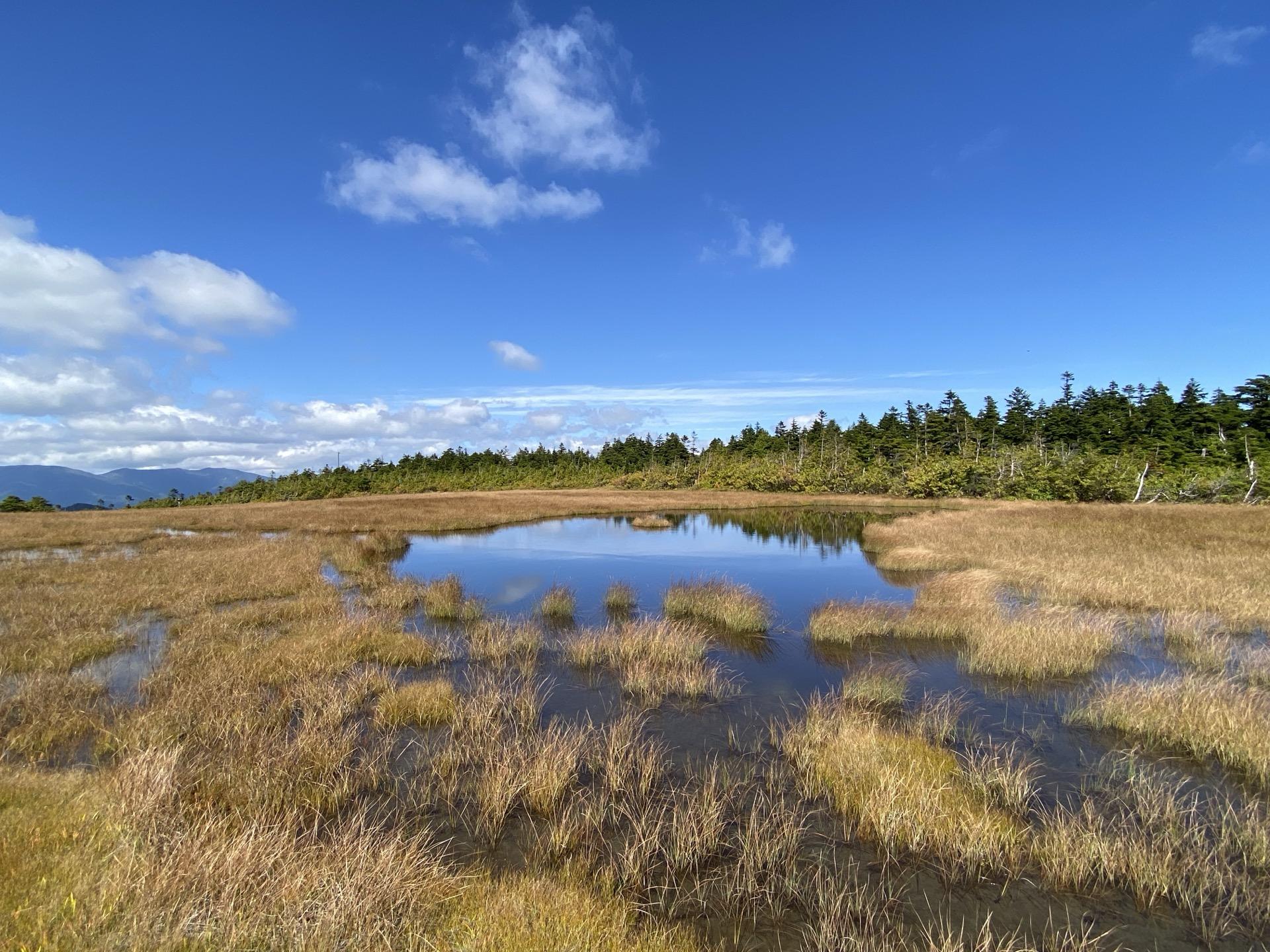 山上の楽園🍁田代山・帝釈山 / mayuminさんの田代山・帝釈山の活動データ | YAMAP / ヤマップ