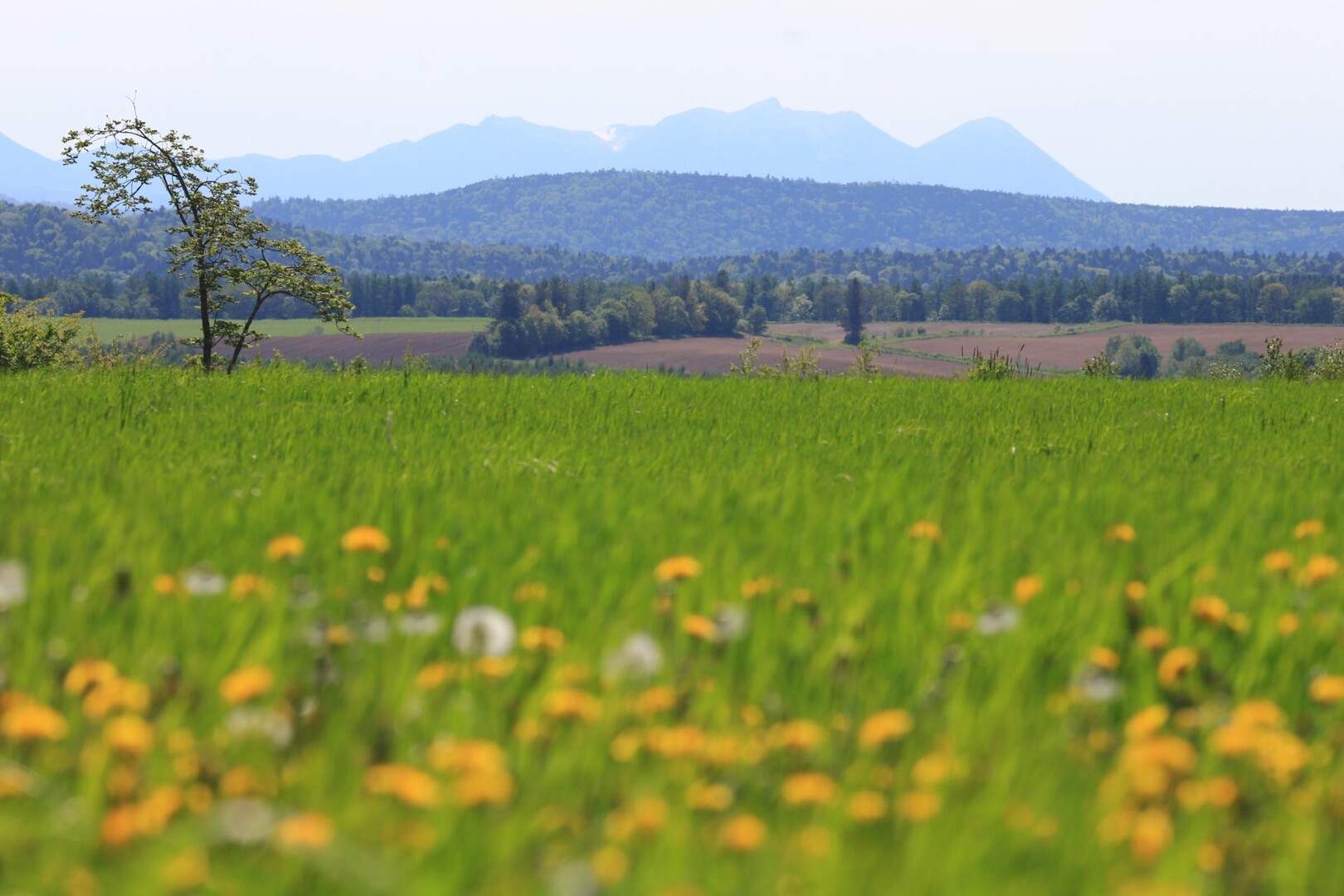 かれこれ10日前、流行りが治まりつつある... / かずたOKTさんのモーメント | YAMAP / ヤマップ