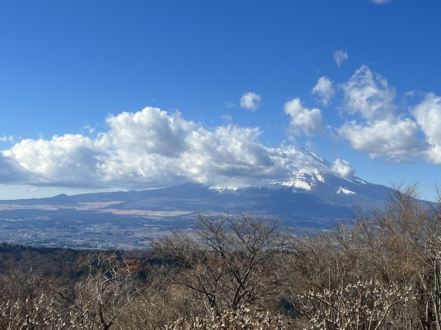 矢倉岳 / chobeeさんの矢倉岳の活動データ | YAMAP / ヤマップ