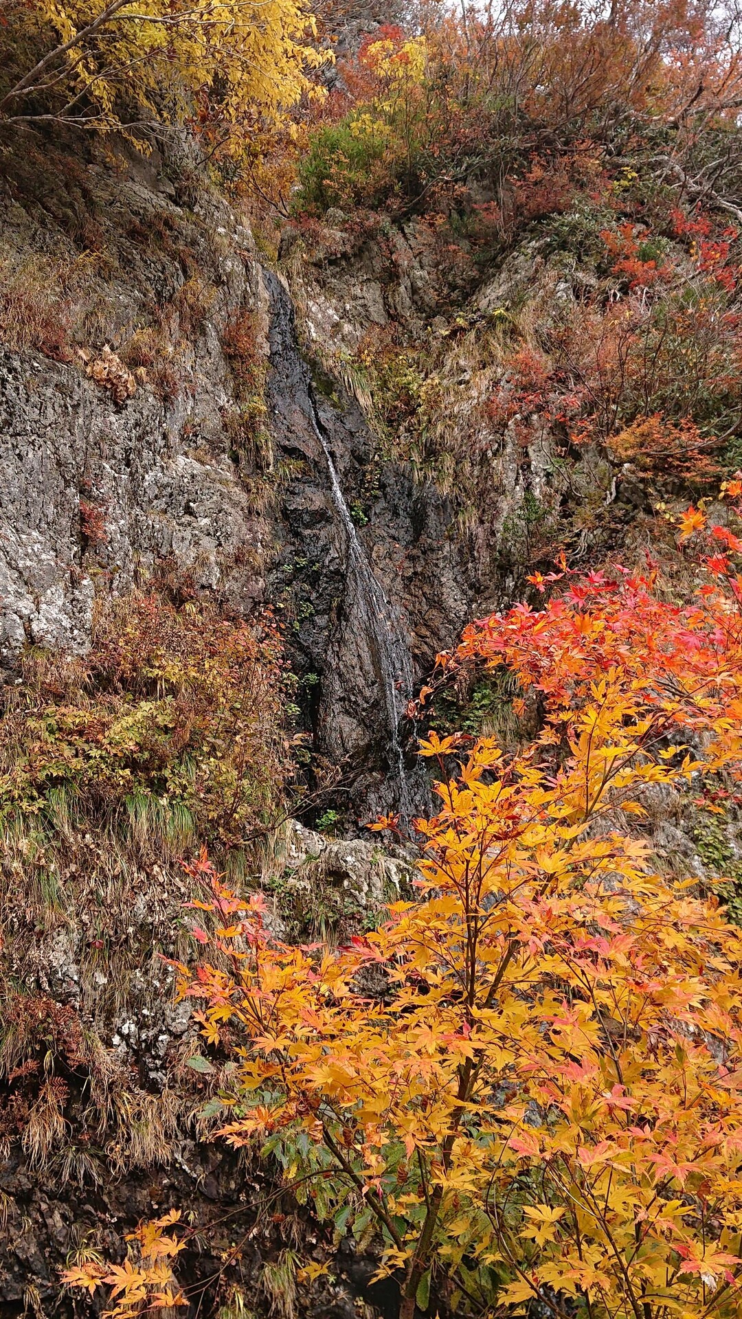 mune-Zさんの投稿したフィールドメモ | YAMAP / ヤマップ