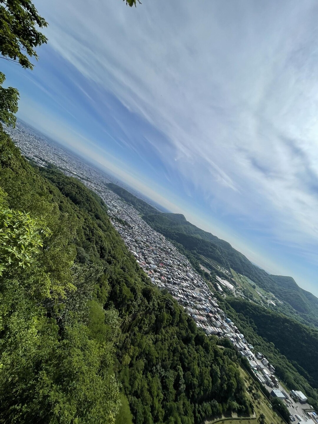 五天山 / ODD DOGさんの三角山・大倉山・円山の活動データ | YAMAP / ヤマップ