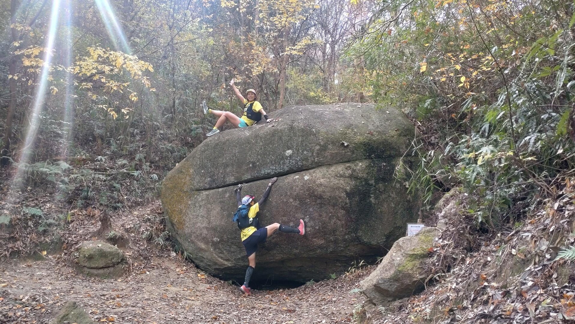 私市ｿﾄｱｿto飯盛ｿﾄｱｿゆるRun / meguさんの交野山・国見山の活動データ | YAMAP / ヤマップ