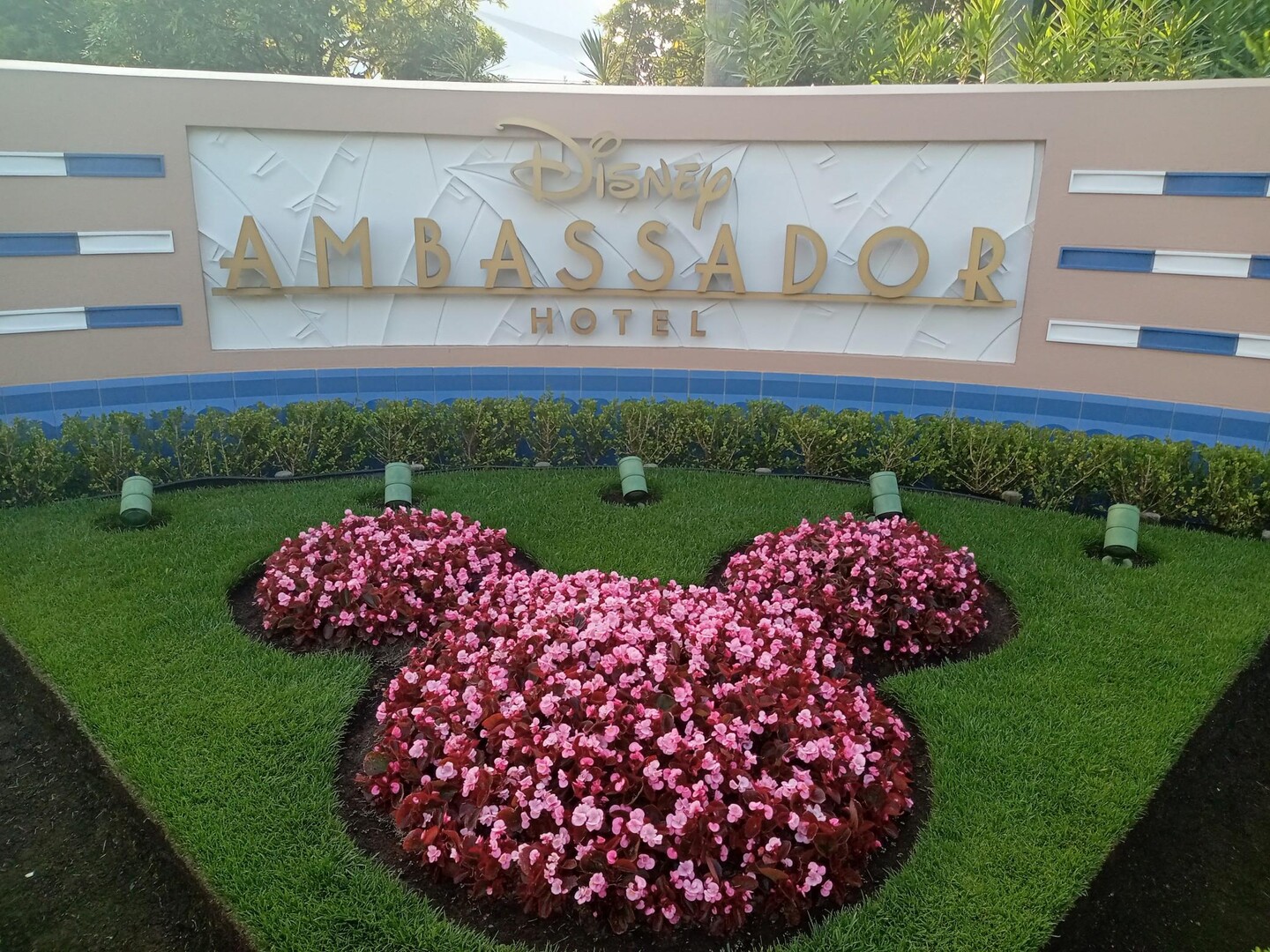 今朝の🌄CYCLING🚲ディズニーか... / masasan🏃東京🗼仕事も遊びも本気です🌟さんのモーメント | YAMAP / ヤマップ