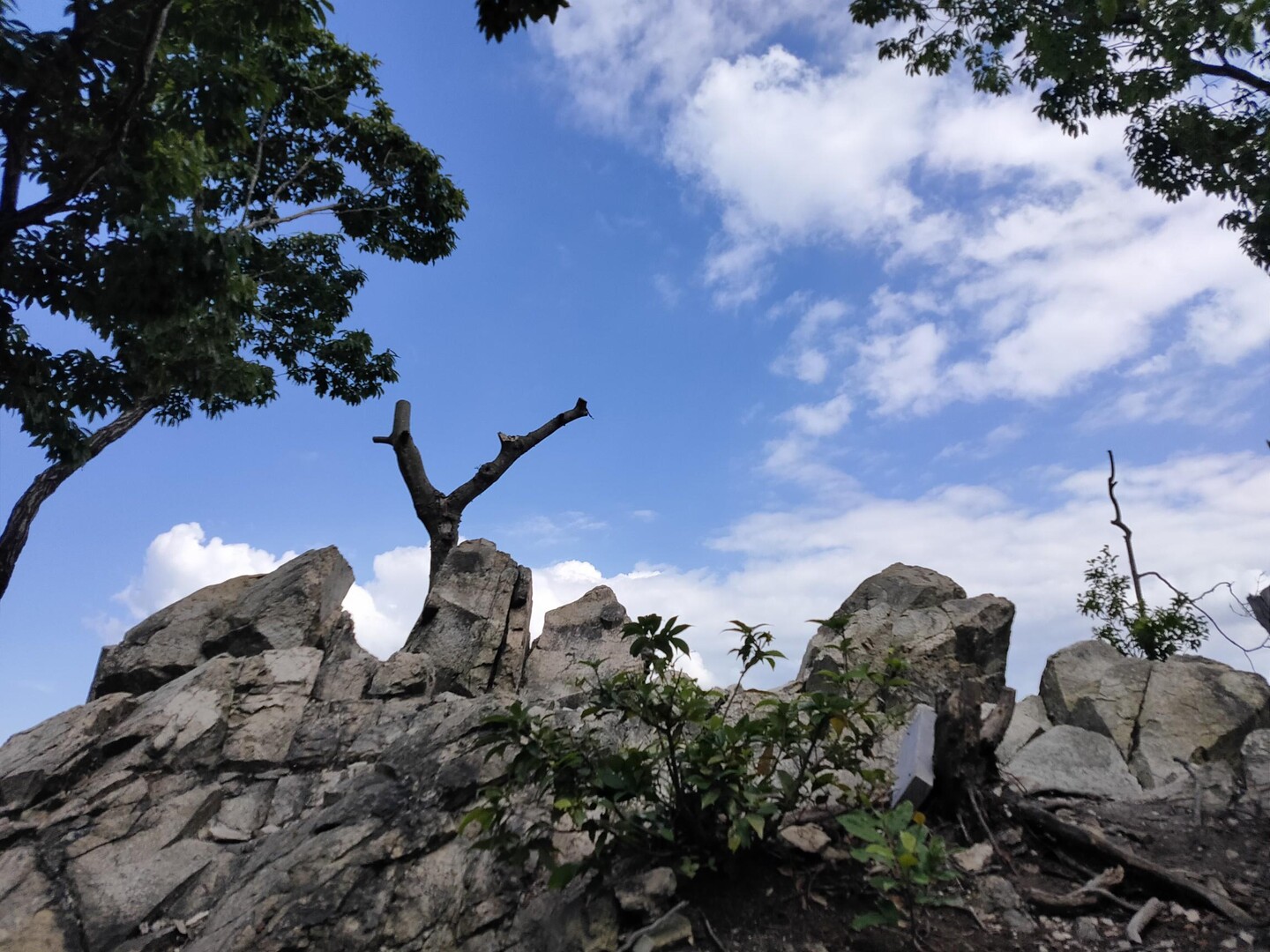 諸羽山・柳山・蔭山・毘沙門山・如意ヶ岳 / auteruyaさんの大文字山・如意ヶ嶽・稲荷山の活動データ | YAMAP / ヤマップ