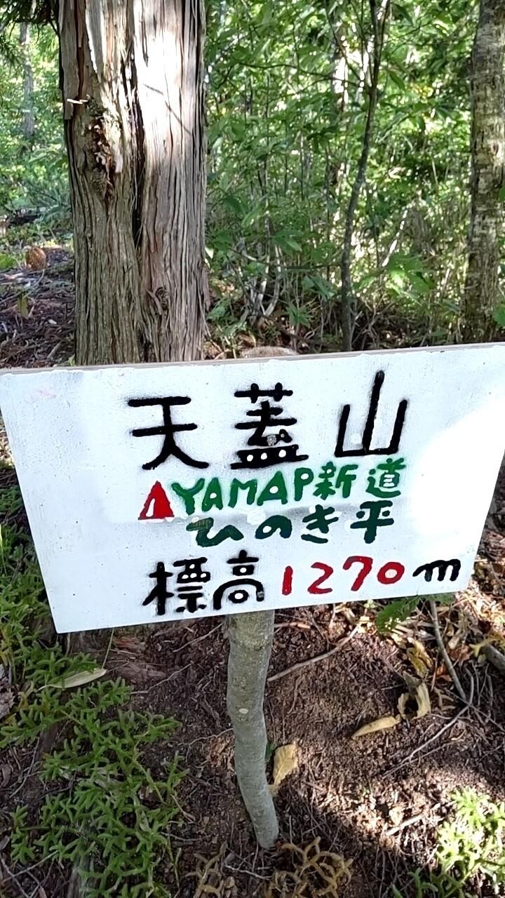 天蓋山 日帰 / 奥飛騨ダース・ベイダーさんの天蓋山・大鼠山の活動データ | YAMAP / ヤマップ