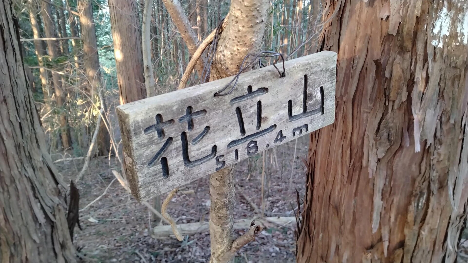 花立山 / type52さんの鍋足山の活動データ | YAMAP / ヤマップ