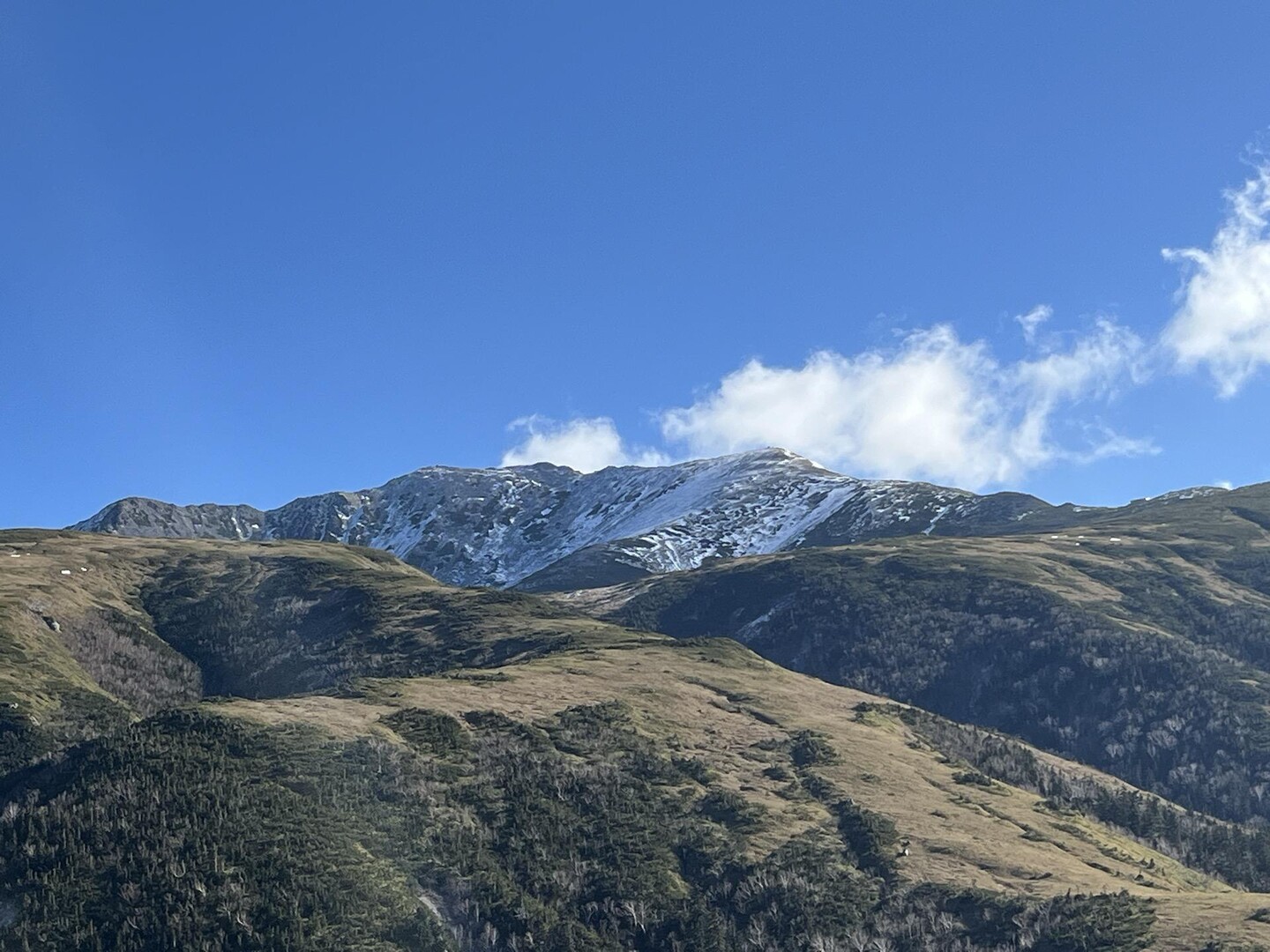 晩秋 薬師岳 / Jさんの水晶岳・薬師岳・黒部五郎岳・鷲羽岳・三俣蓮華岳・湯俣の活動データ | YAMAP / ヤマップ