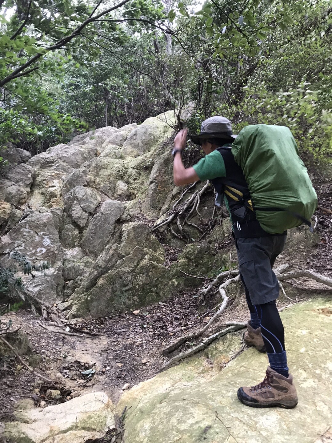 宝塚ロックガーデン、撤退 ️ / shin16さんの中山・大峰山の活動日記 | YAMAP / ヤマップ