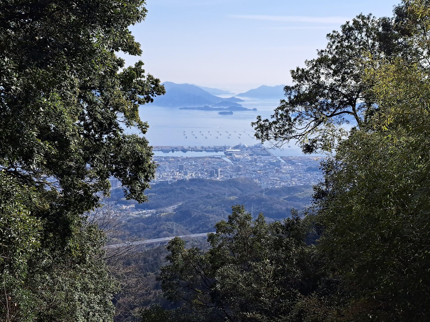 極楽寺山で(training) / りゅうじさんの極楽寺山の活動データ | YAMAP / ヤマップ