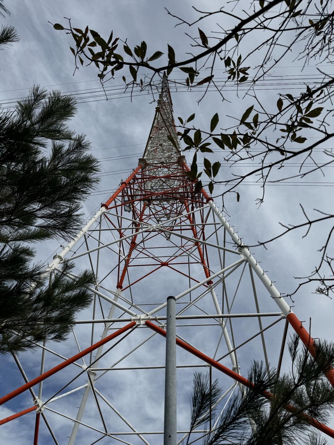 11月なのに暑い🥵中山連山 ️ / cozy284さんの中山・大峰山の活動データ | YAMAP / ヤマップ